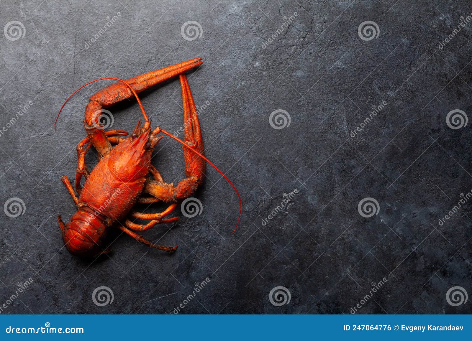 Crayfish stock photo. Image of river, gourmet, crawfish - 247064776