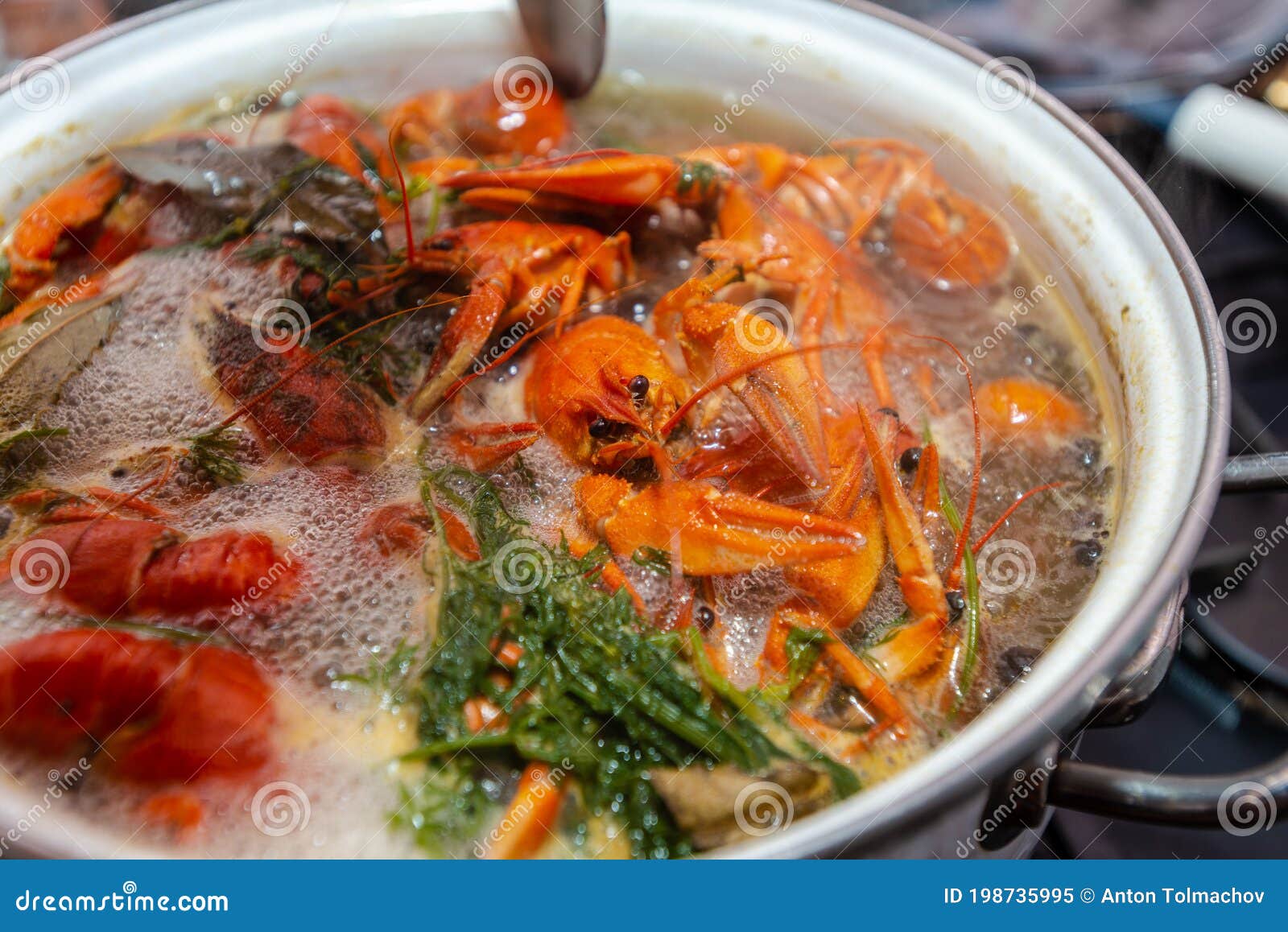 Crayfish are Boiling in a Large Saucepan with Dill on a Fire Stock ...