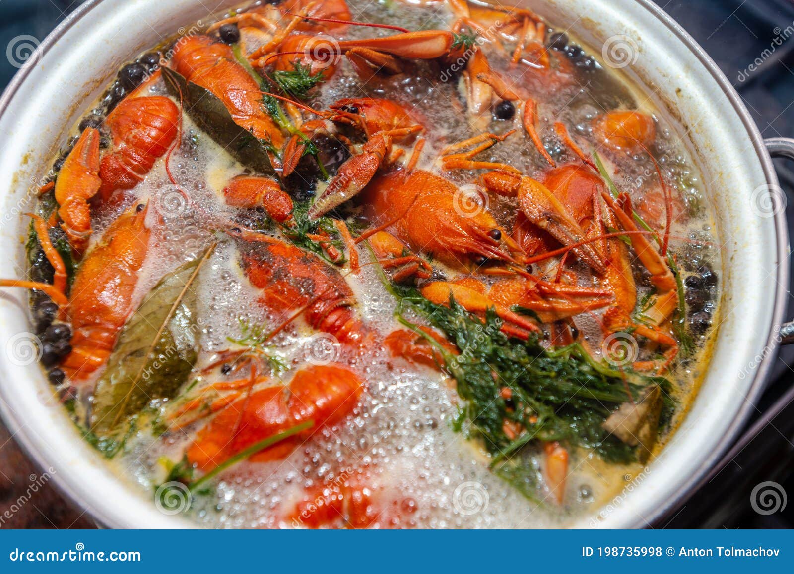Crayfish are Boiling in a Large Saucepan with Dill on the Fire Stock ...