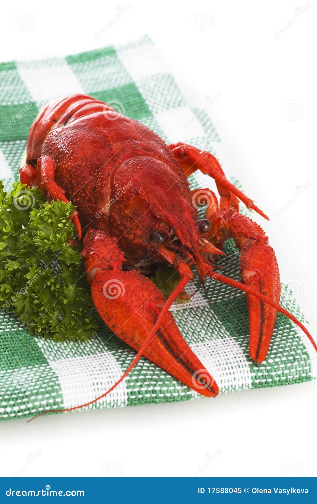 Crayfish food stock image. Image of gourmet, invertebrate - 17588045