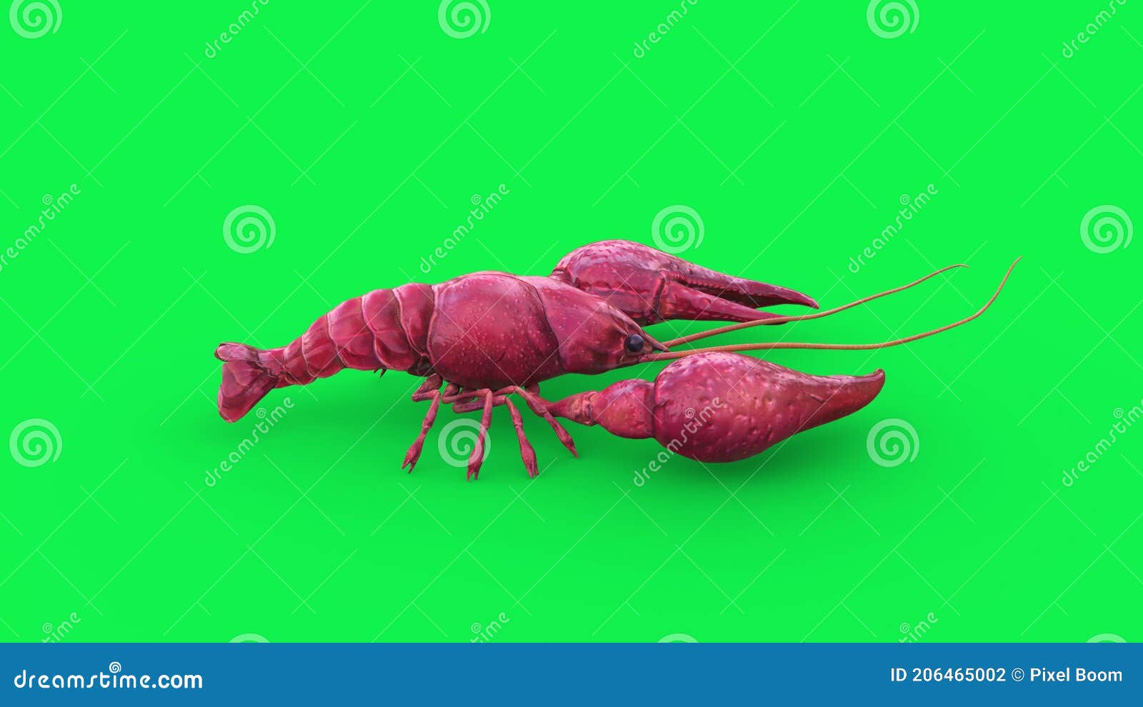 Crayfish Green Screen Idle Side 3D Rendering Animation 4K Stock Footage ...