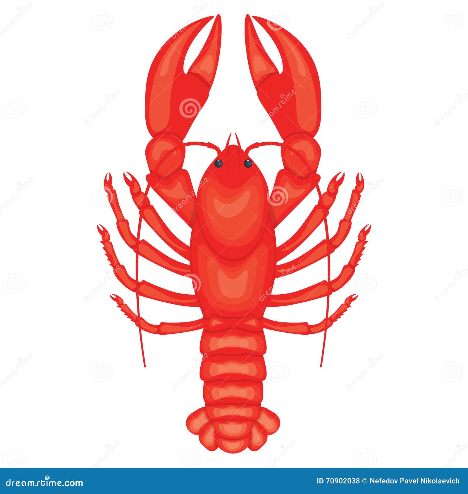 Crayfish Illustration Isolated On White Background Royalty-Free Cartoon ... Crayfish Illustration Isolated On White Background Royalty-Free Cartoon ...