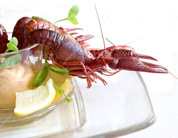 Crayfish with Ingredients on Table Stock Photo - Image of boiled ...
