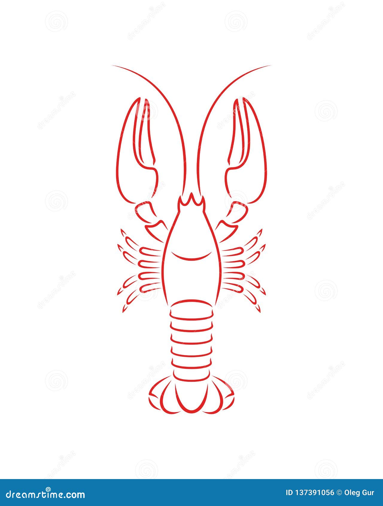 Crayfish Outline. Isolated Crayfish on White Background Stock Vector ... Crayfish Outline. Isolated Crayfish on White Background Stock Vector ...