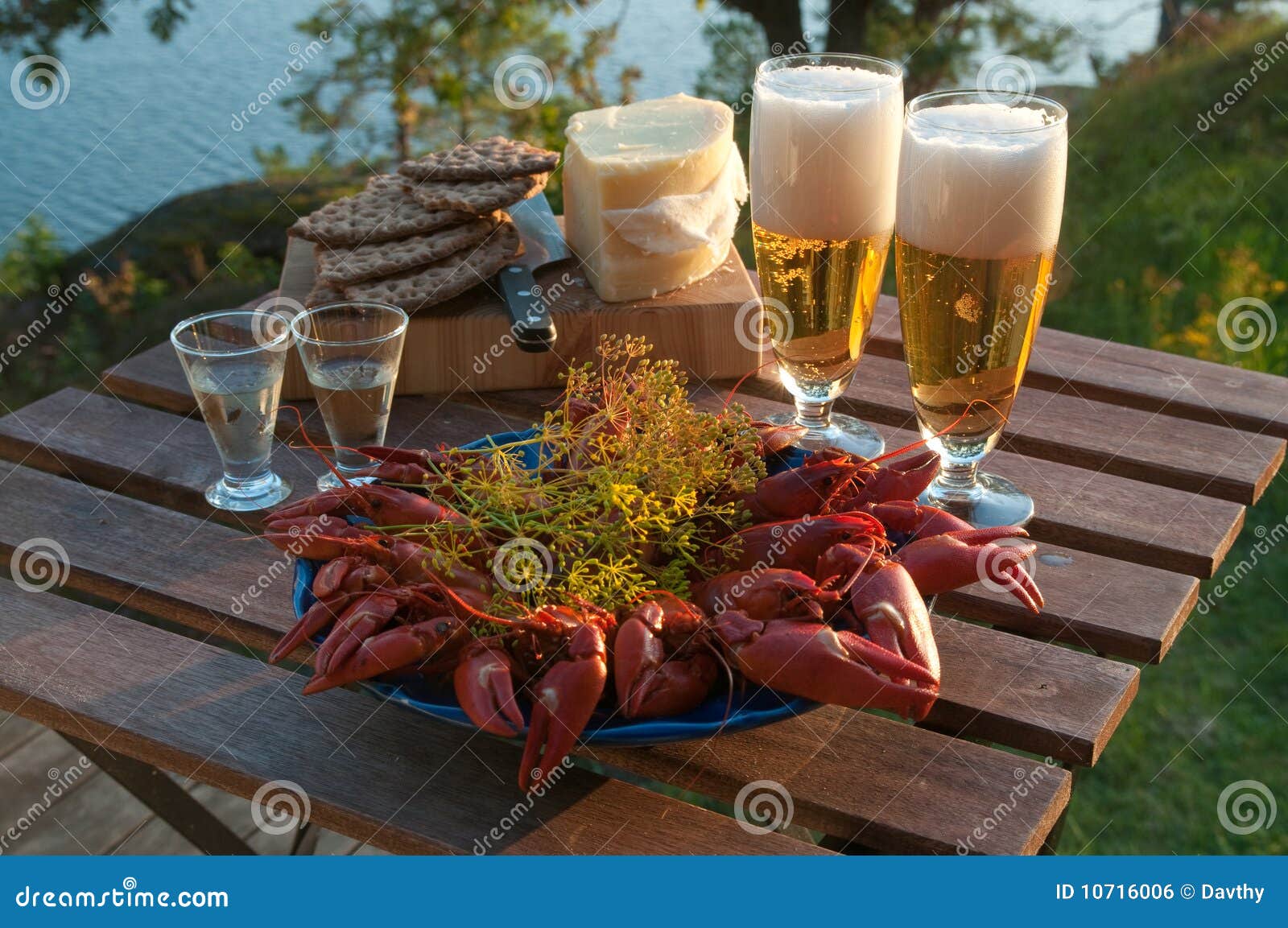 Crayfish party stock photo. Image of schnapps, seafood - 10716006