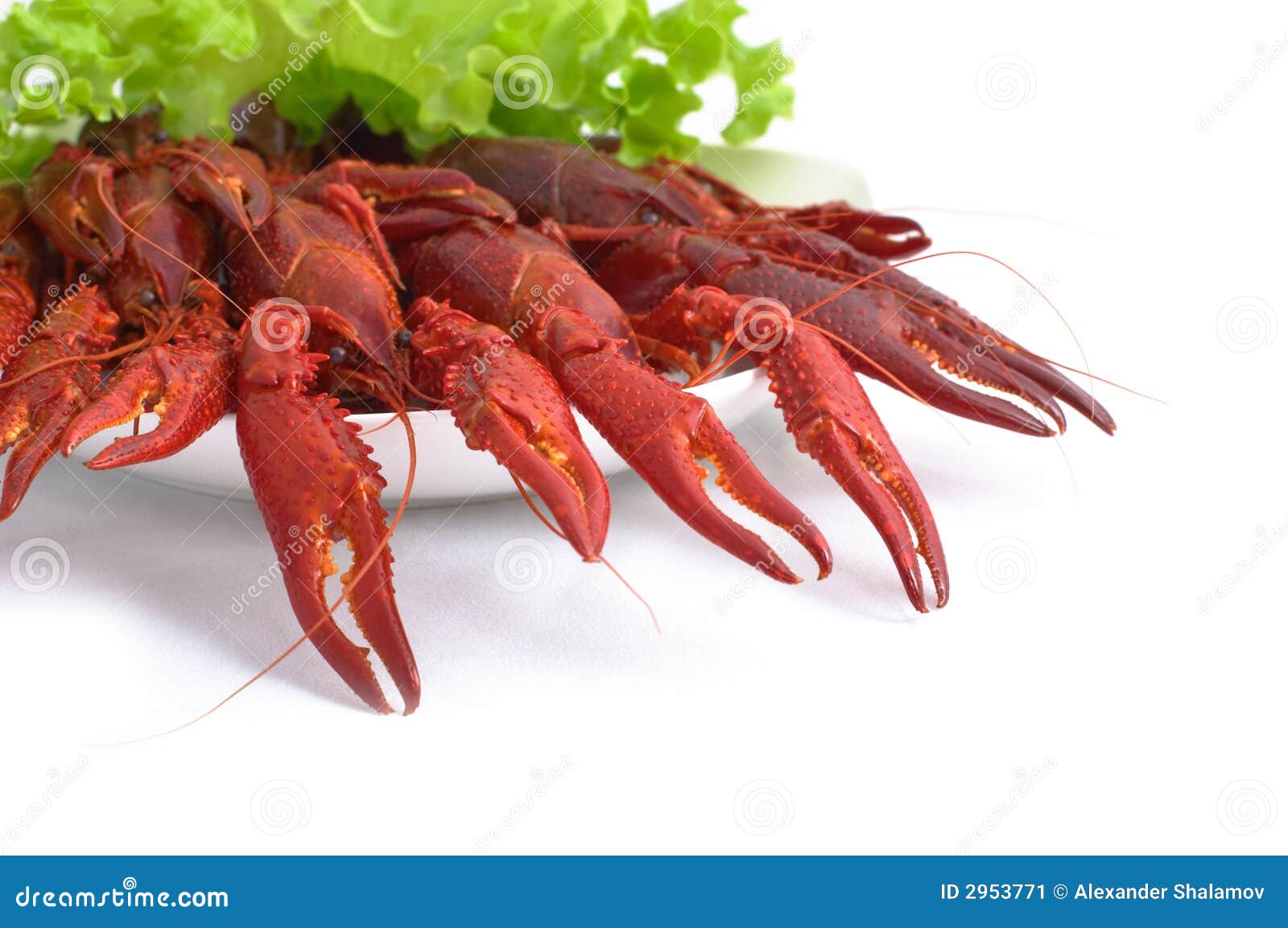 Crayfish party stock image. Image of crayfish, white, delicacy - 2953771