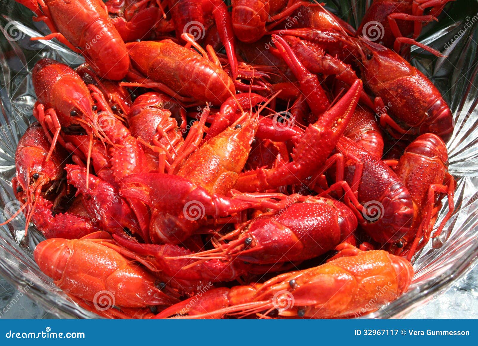 Crayfish Picture. Image: 32967117