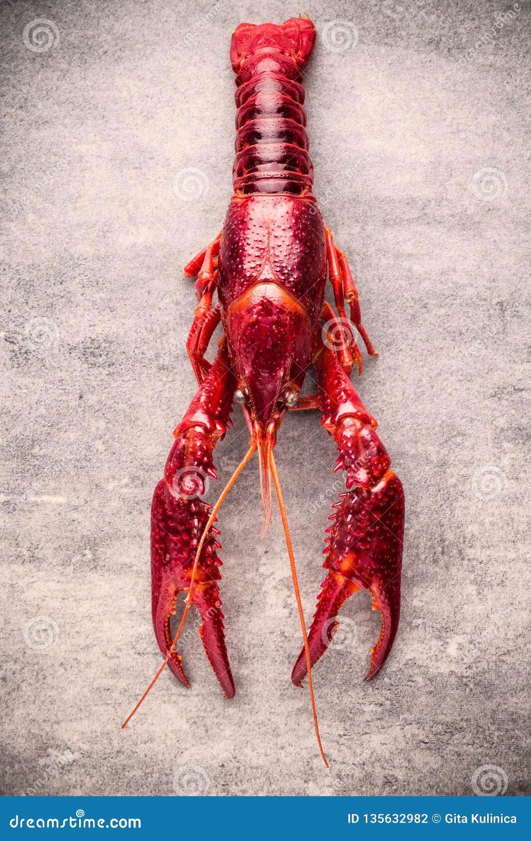 Crayfish stock photo. Image of shell, food, seafood - 135632982