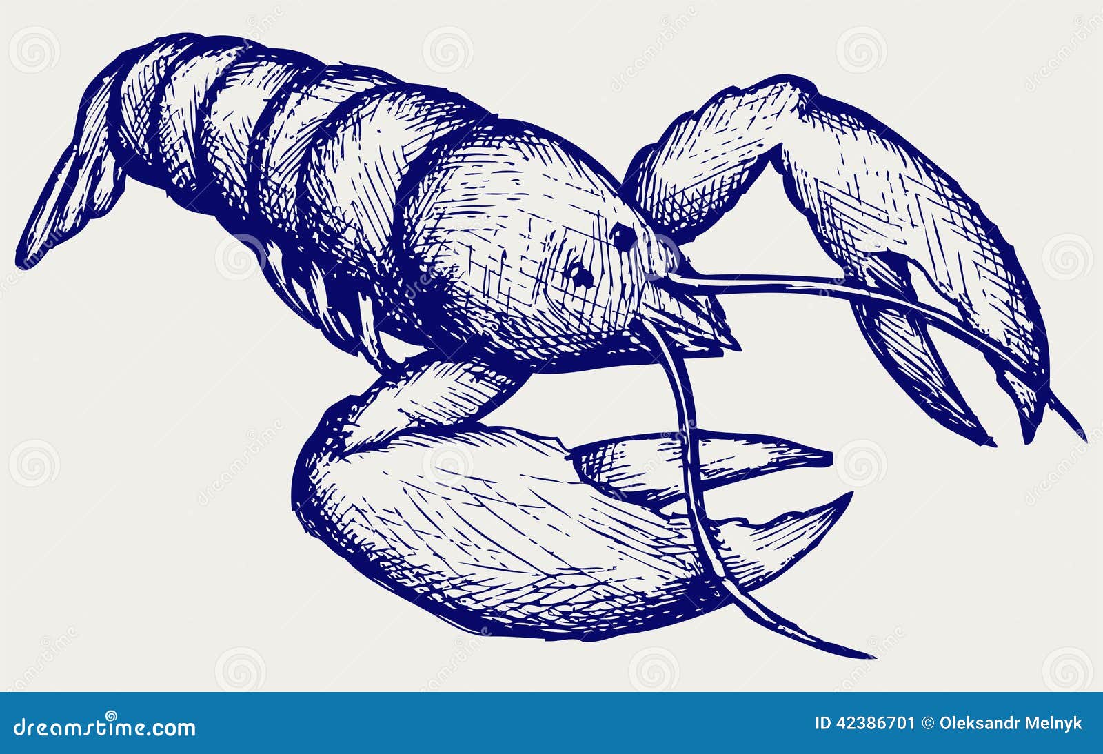 Crayfish Sketch. Doodle Style Stock Vector - Illustration of animal ...