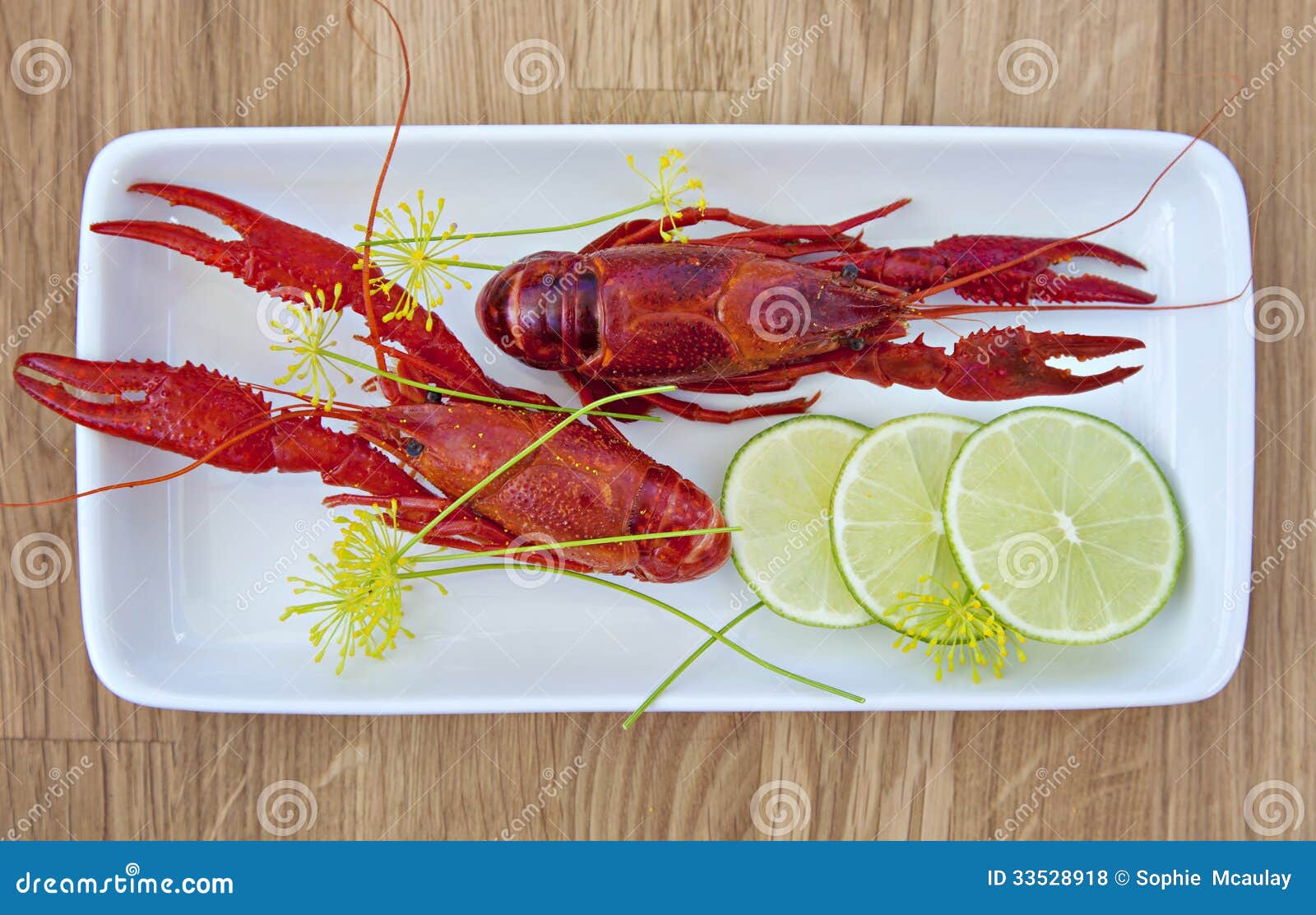 Crayfish starter stock photo. Image of fresh, gourmet - 33528918