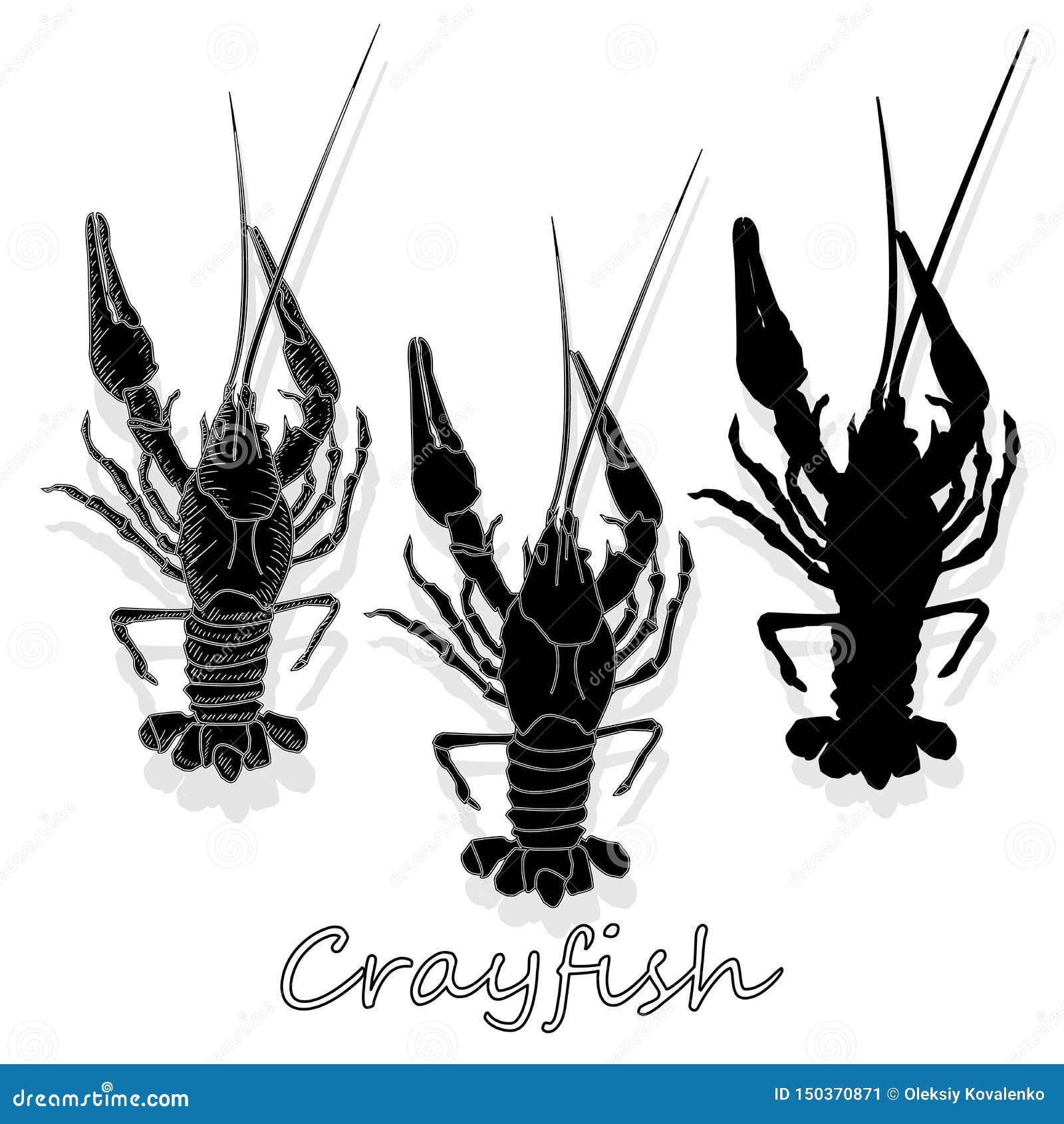 Crayfish Vector Illustration Black Silhouette Realistic | CartoonDealer ...