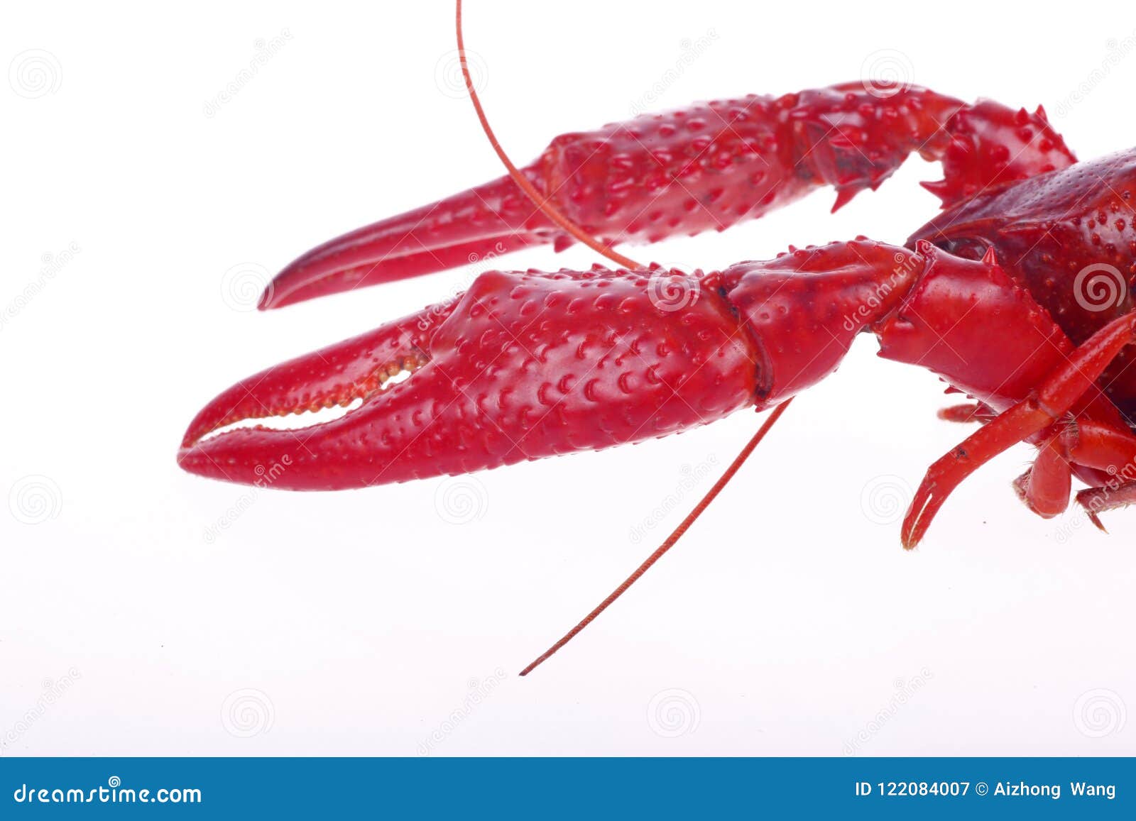 Crawfish stock image. Image of prepared, invertebrate - 122084007