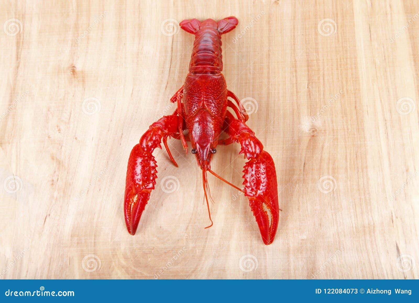 Crawfish stock image. Image of dish, cuisine, cuirass - 122084073