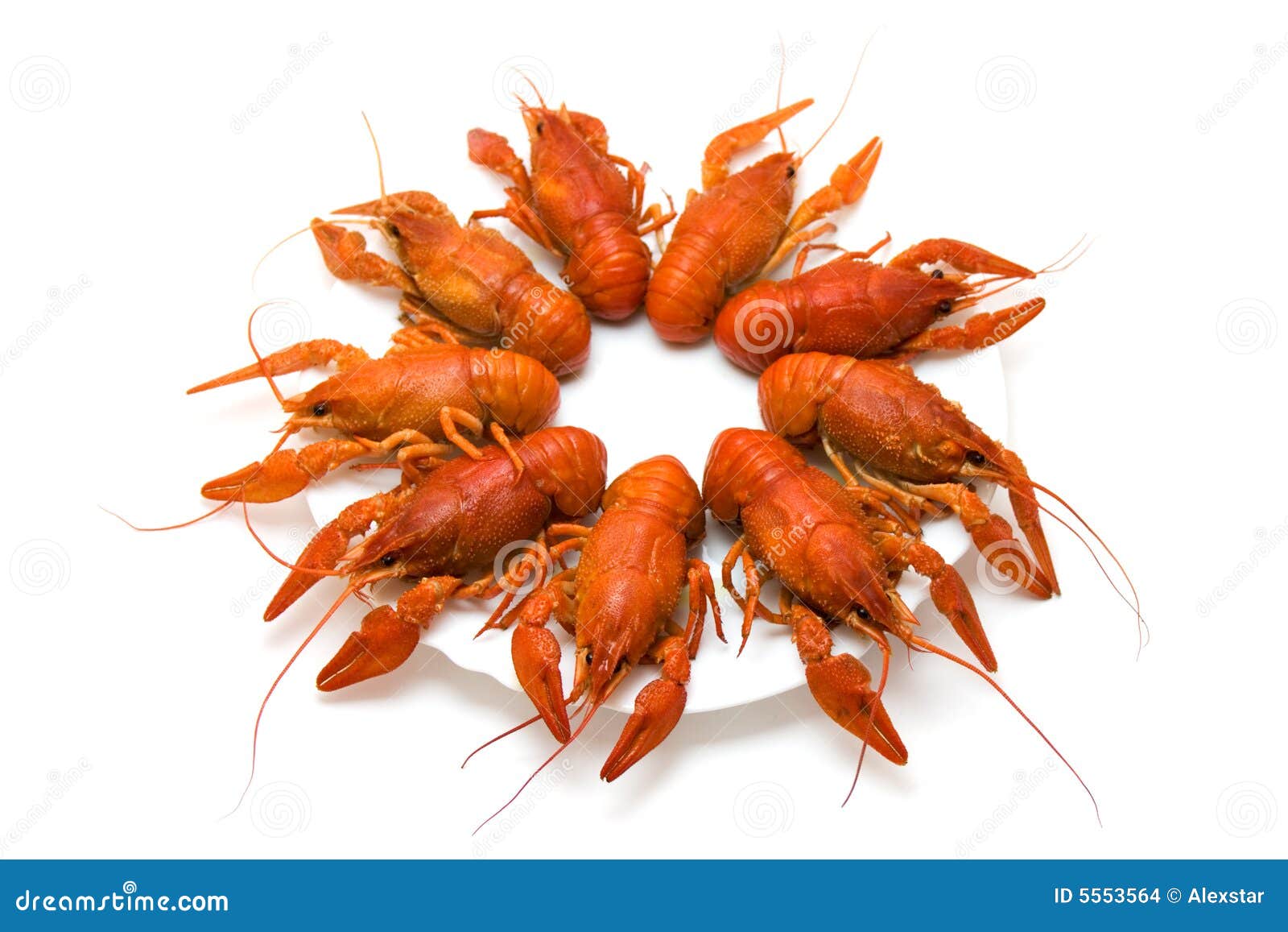 Crayfish on white plate stock photo. Image of edible, gourmet - 5553564