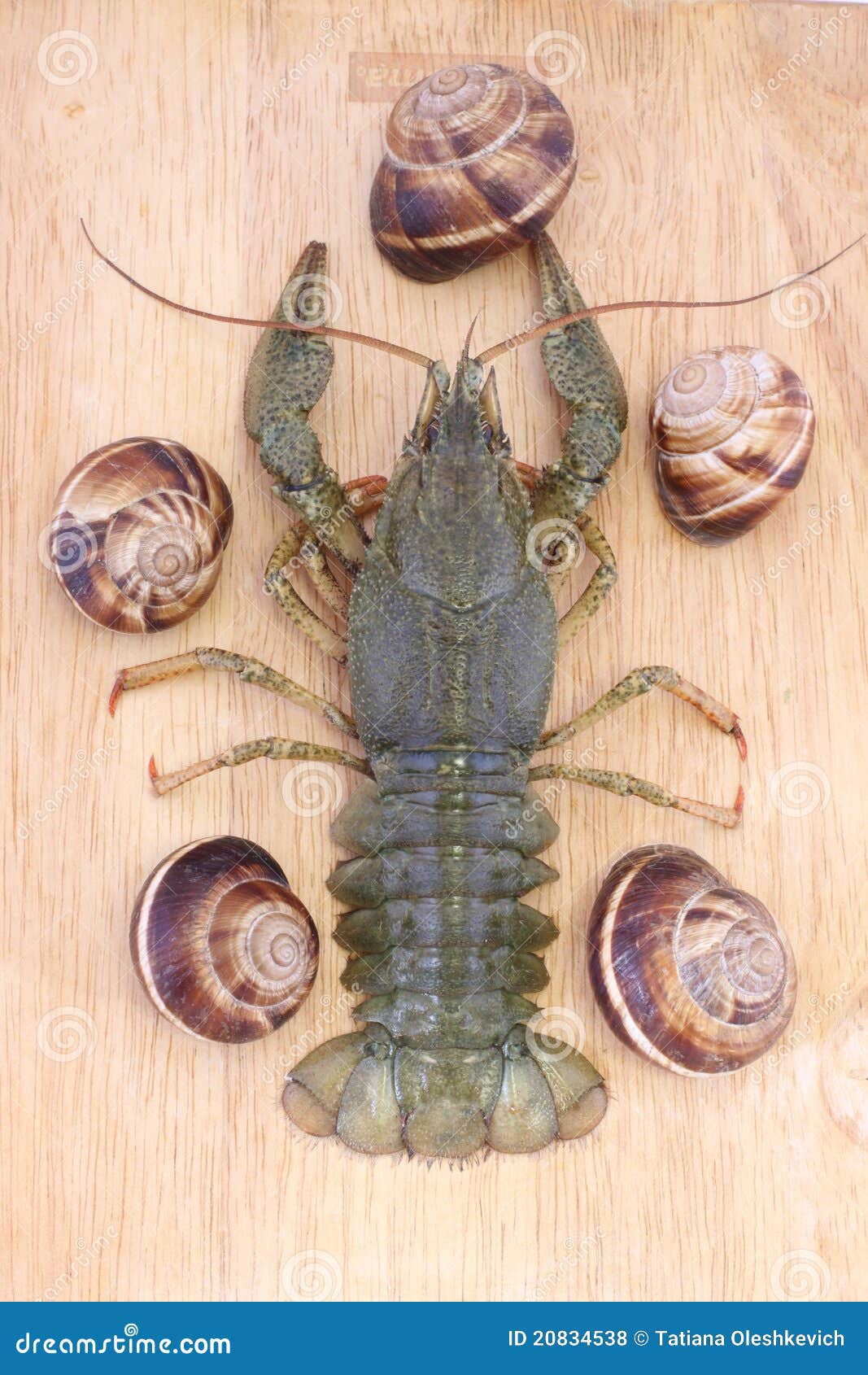 Crayfish on a Wood with Snails Stock Photo - Image of eating ...