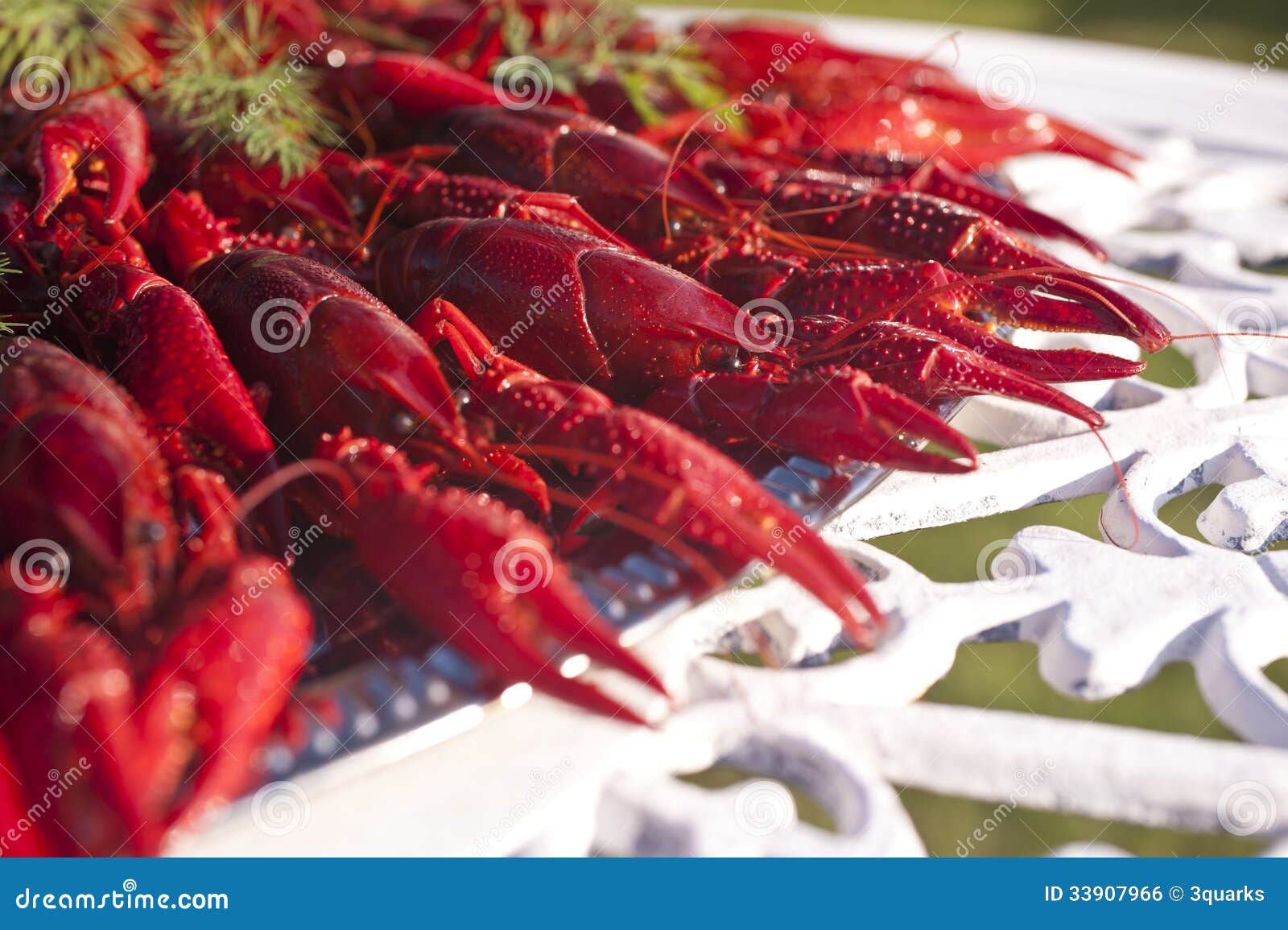 Crayfishes stock photo. Image of crawdaddy, shrimps, crustacean - 33907966