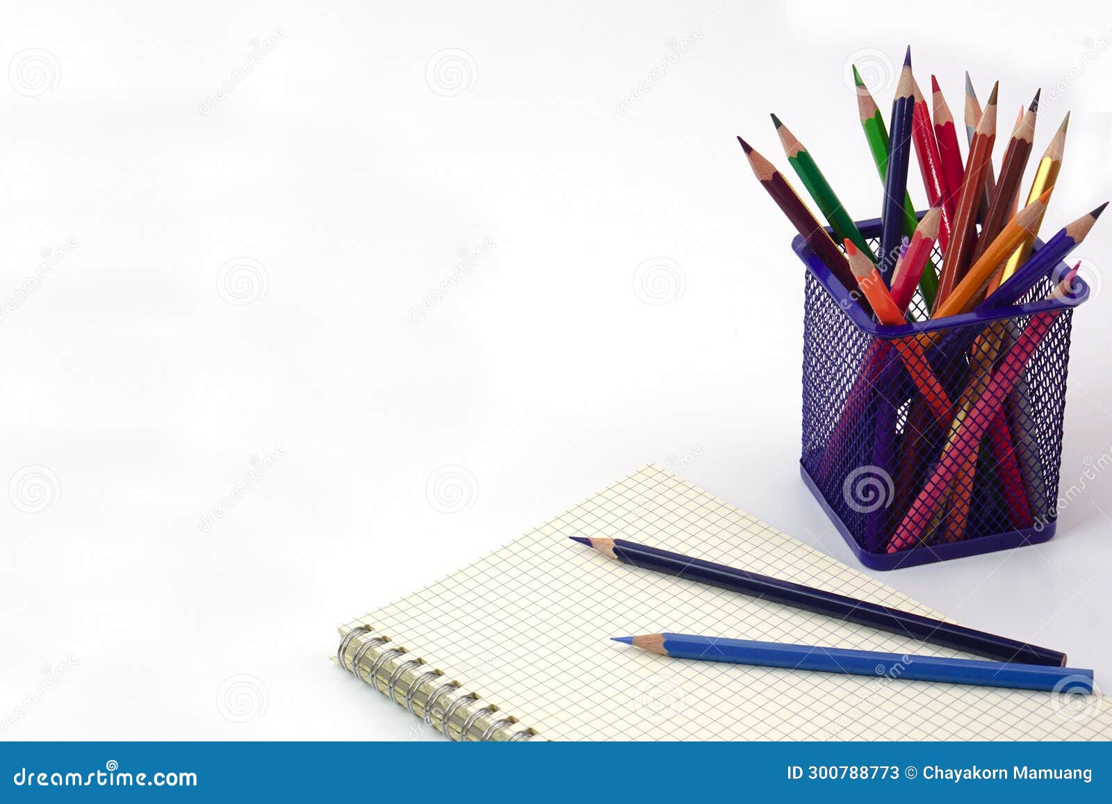 Graph Book Open, Grid Chart For Notes Or Statistics . Stock Photography ...