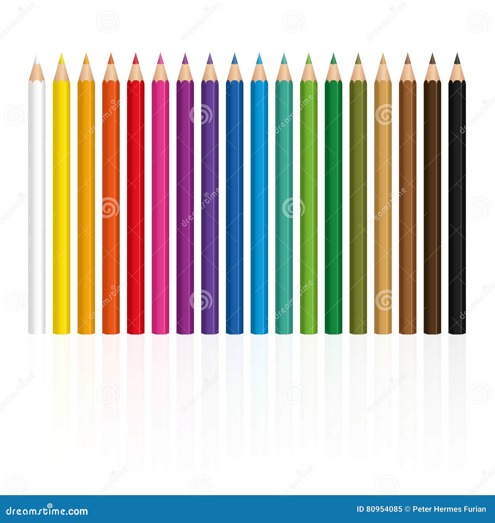 Crayons Set Upright Standing Stock Vector - Illustration of group ...