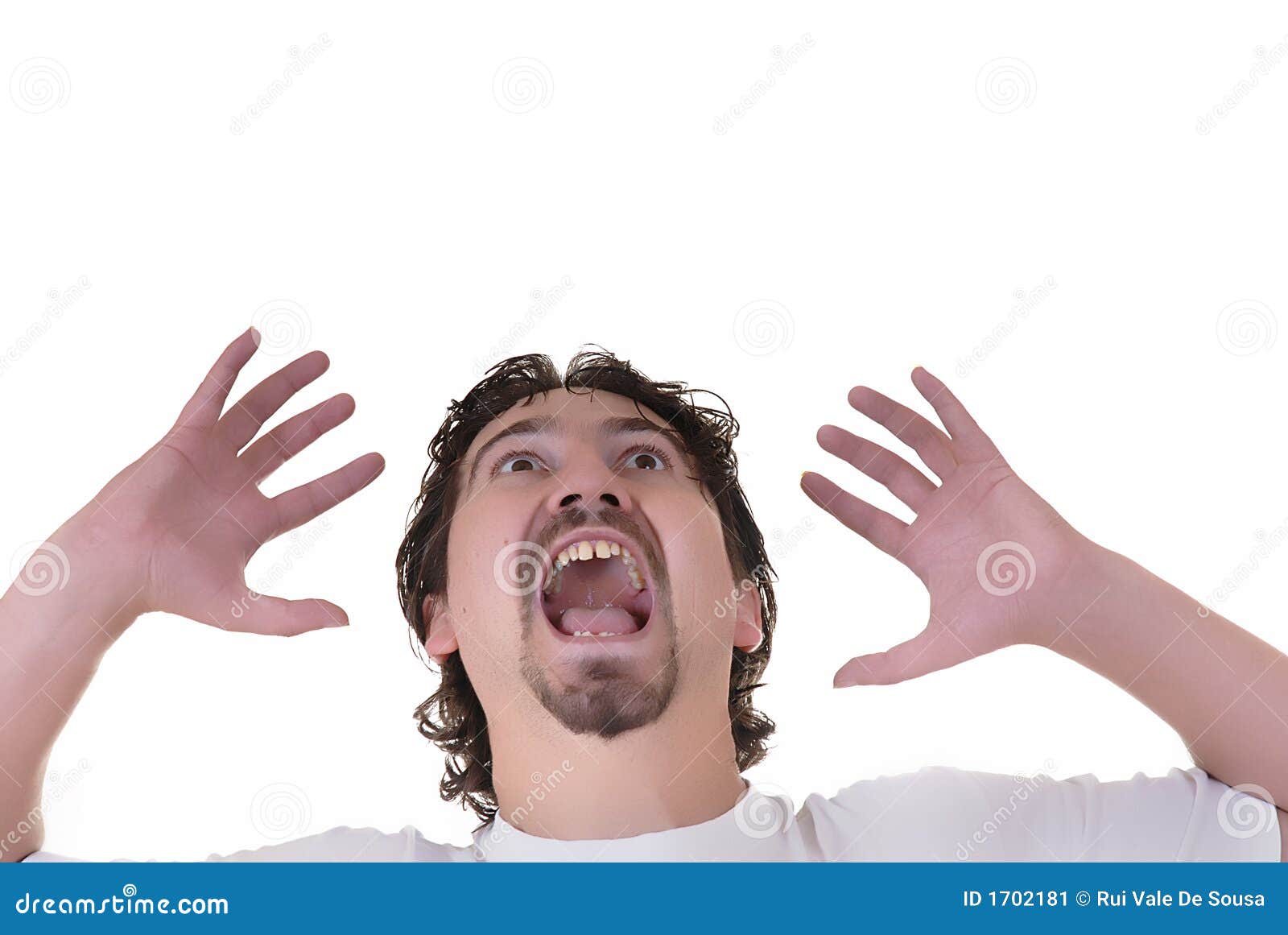 Crazy stock image. Image of funny, hilarious, portrait - 1702181