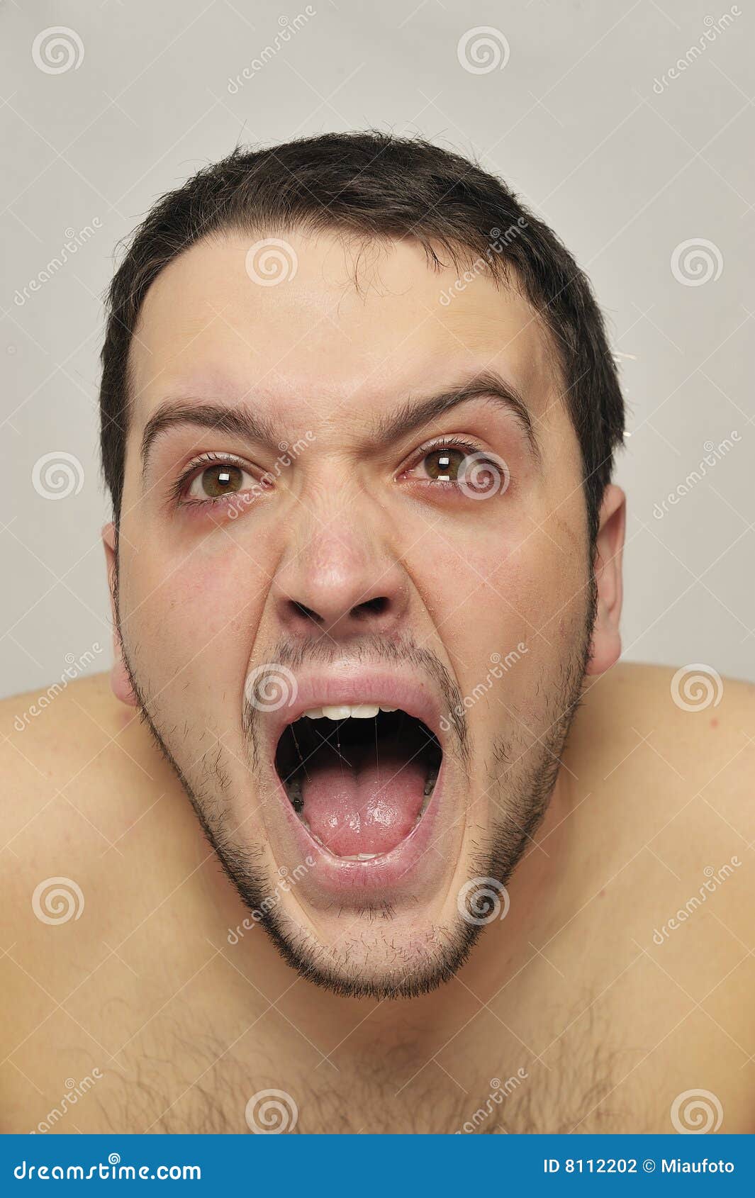Crazy stock photo. Image of angry, scream, shout, tears - 8112202