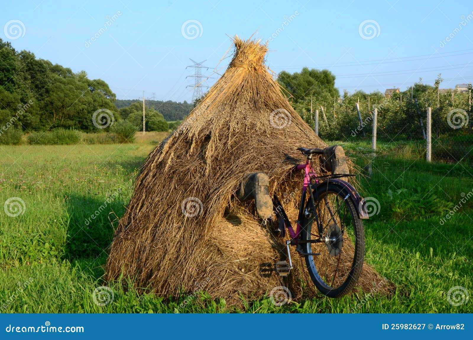 Crazy Biker Stock Photos - Download 752 Royalty Free Photos