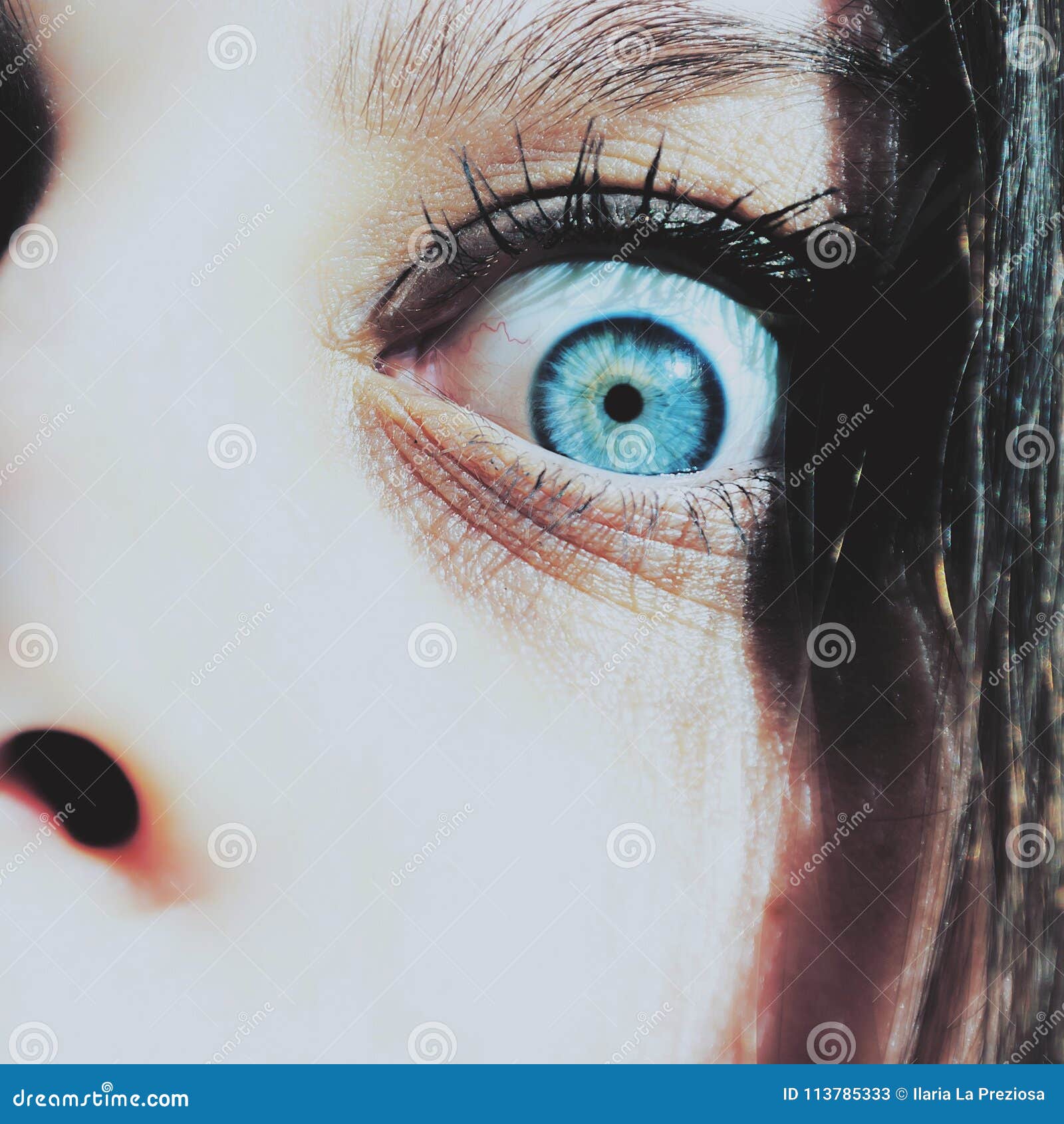 Blue eyes stock image. Image of eyes, open, blue, crazy - 113785333