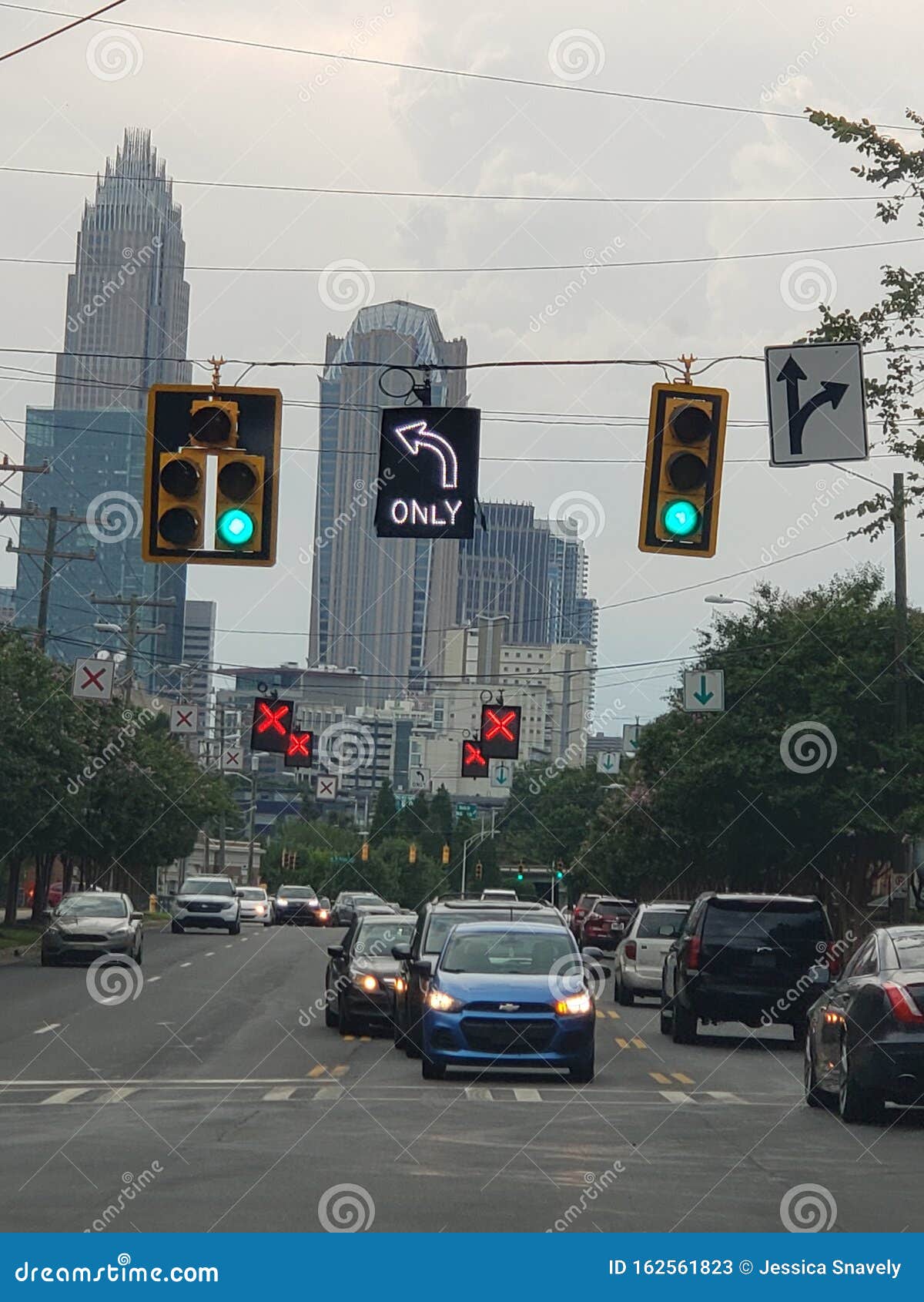 Driving Me Nuts Saying Stock Photo | CartoonDealer.com #32937726