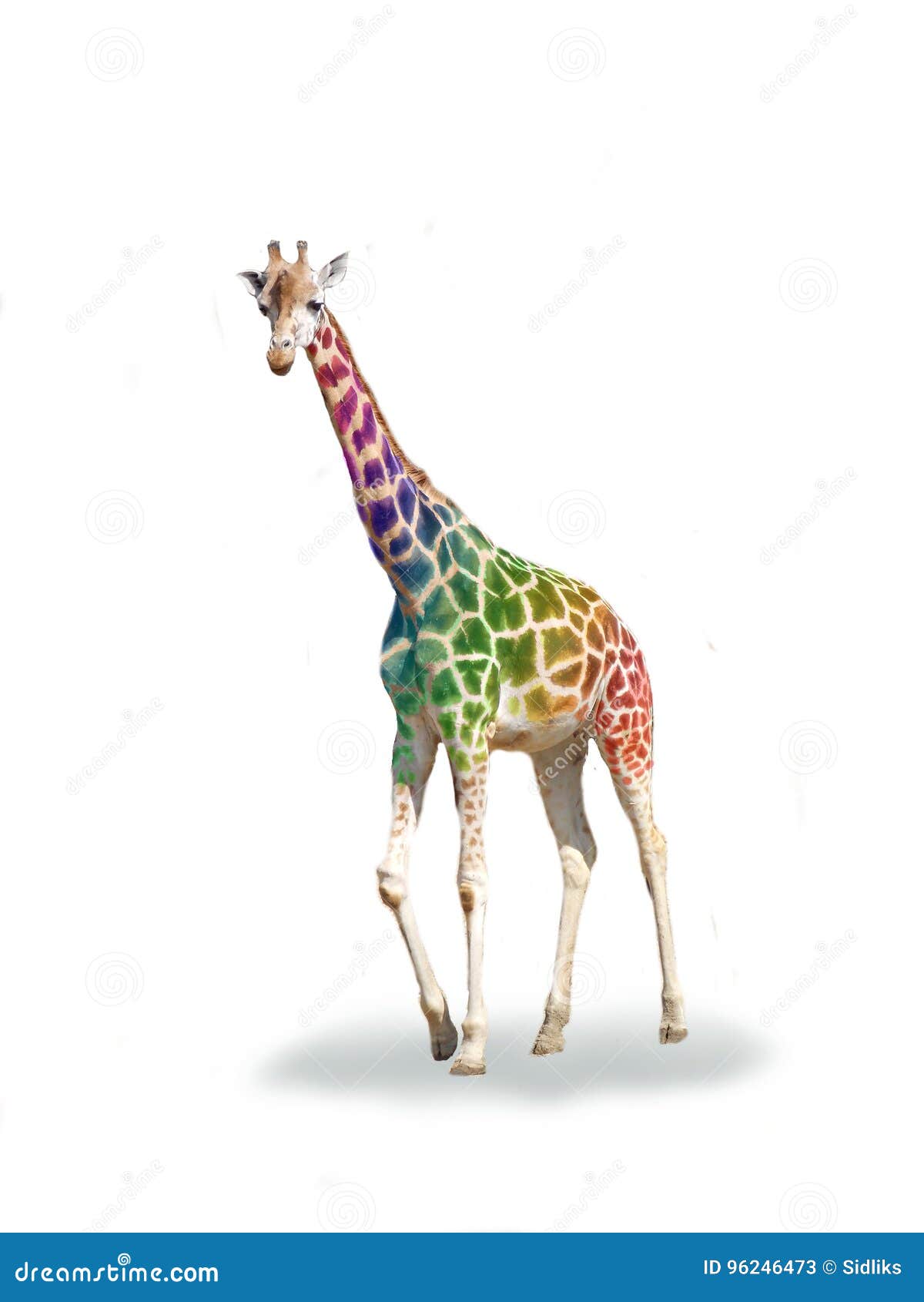 Colorful Giraffe Background