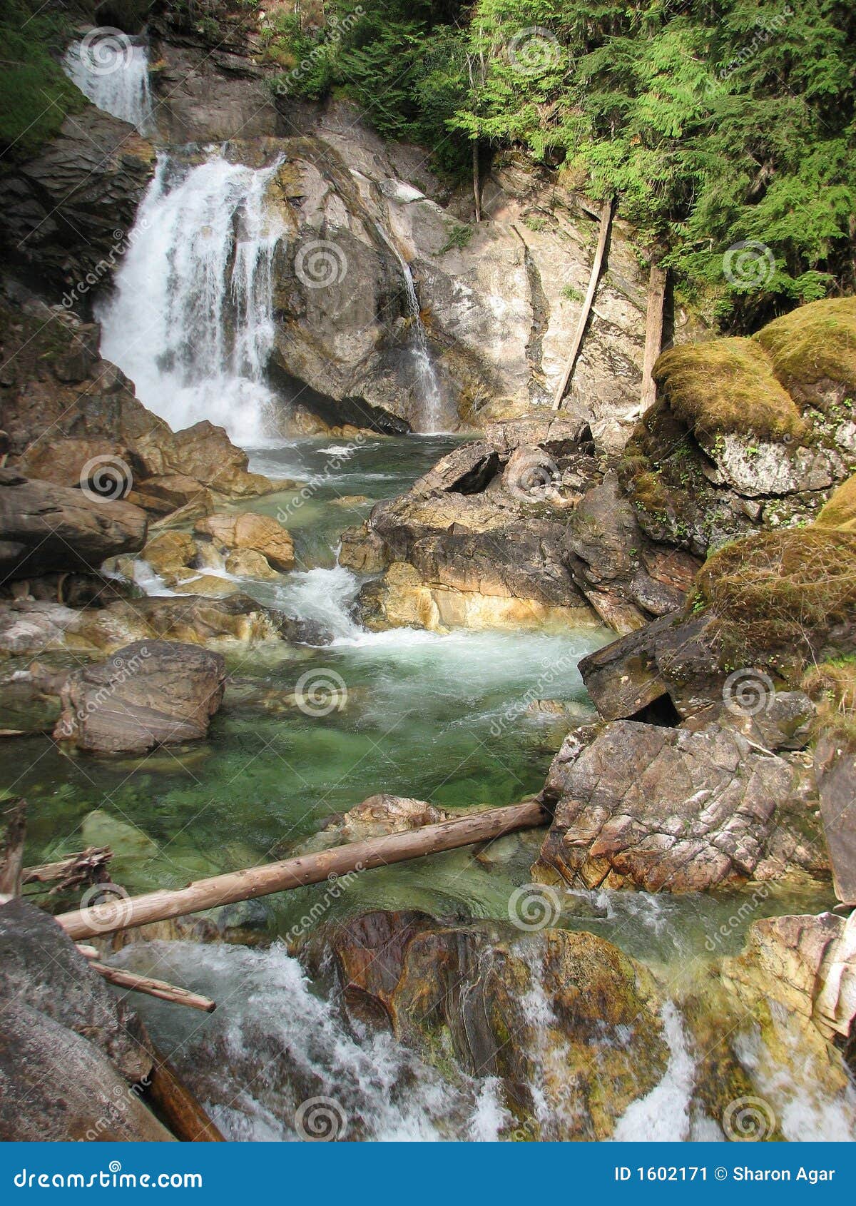 Crazy Creek Waterfall stock image. Image of waterfall - 1602171