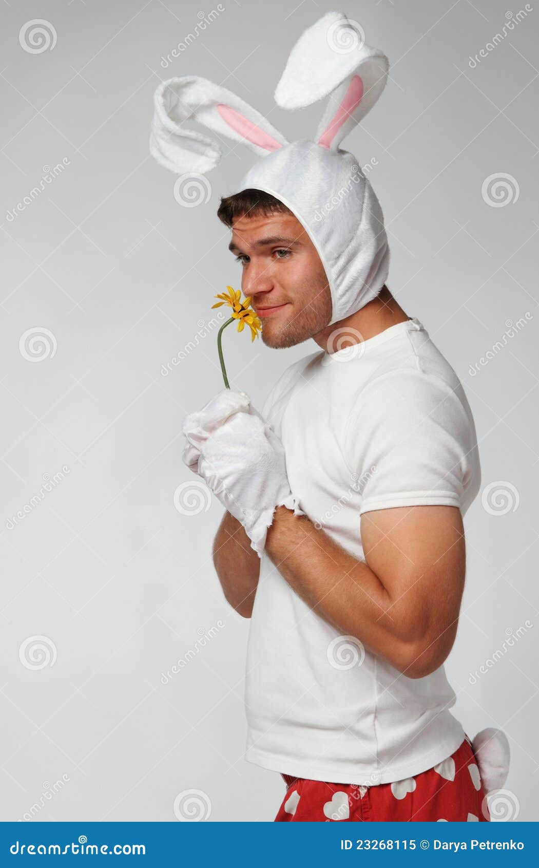 Crazy easter rabbit stock image. Image of brunette, funny - 23268115