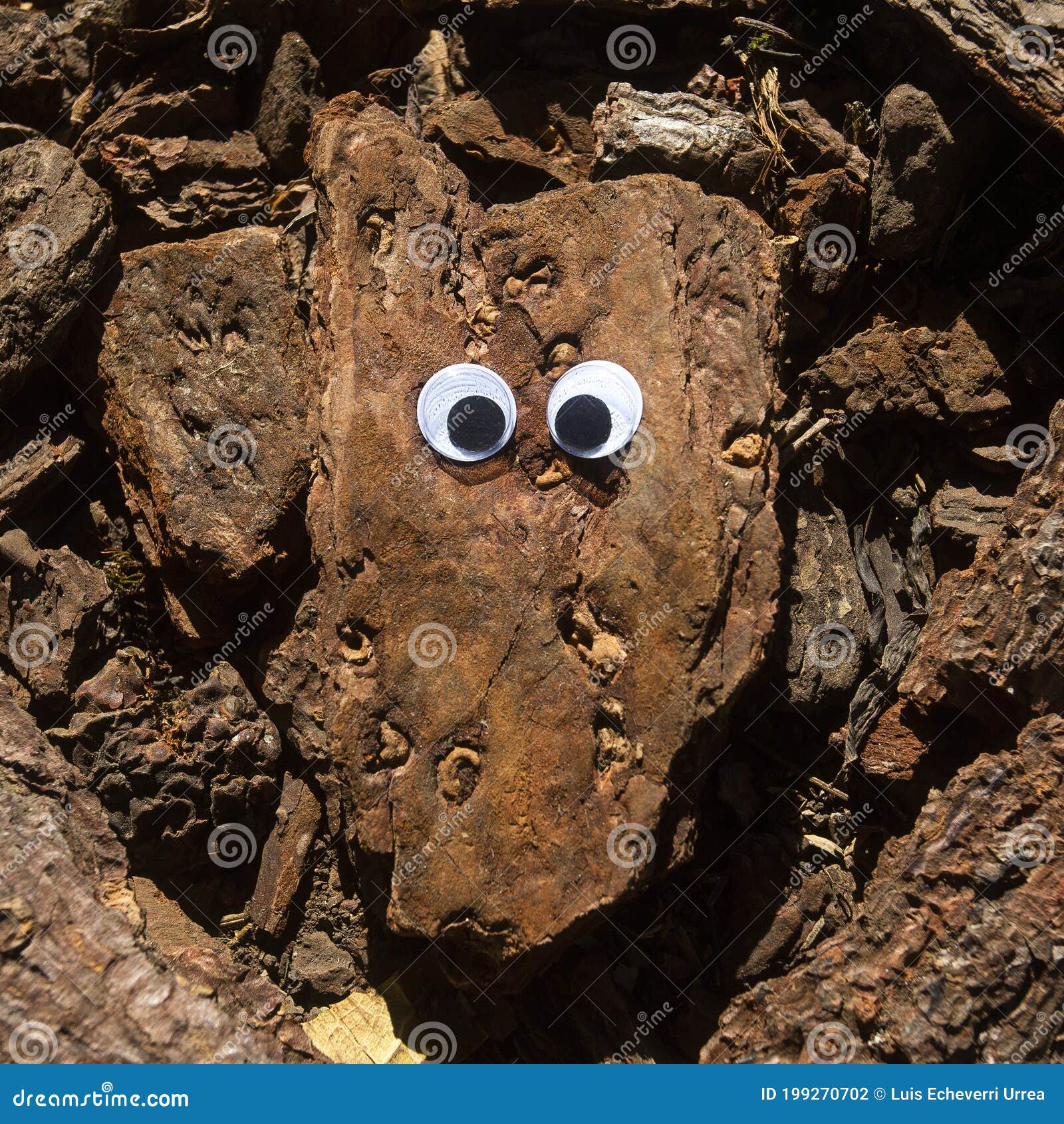Crazy Googly Eyes - Creative Expression with Googly Eyes Stock Photo ...