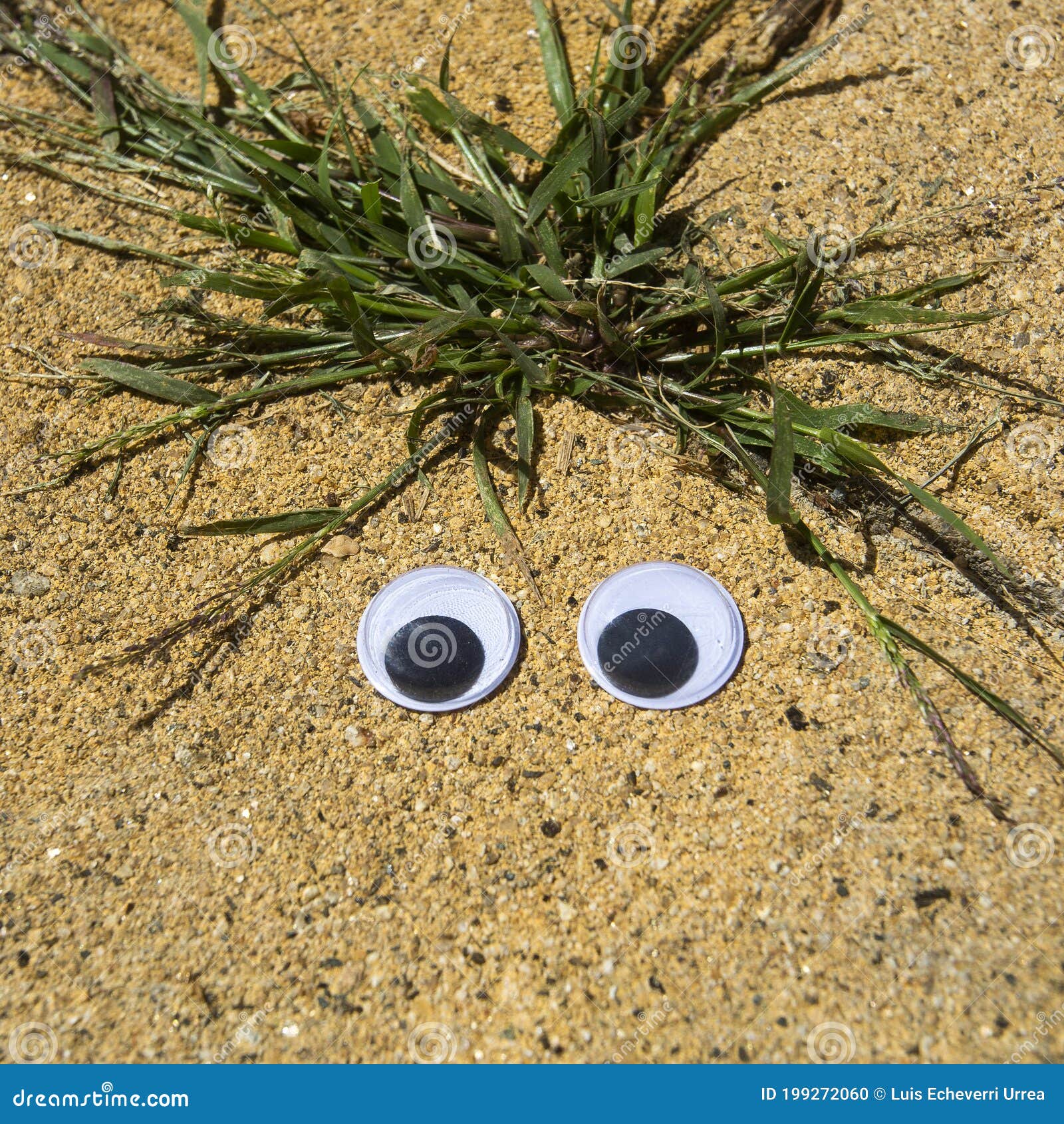 Crazy Googly Eyes - Creative Expression with Googly Eyes Stock Photo ...