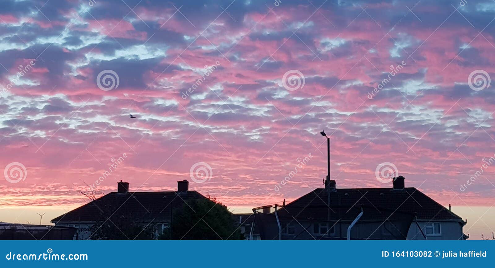 Crazy pink sky stock photo. Image of clouds, sunset - 164103082