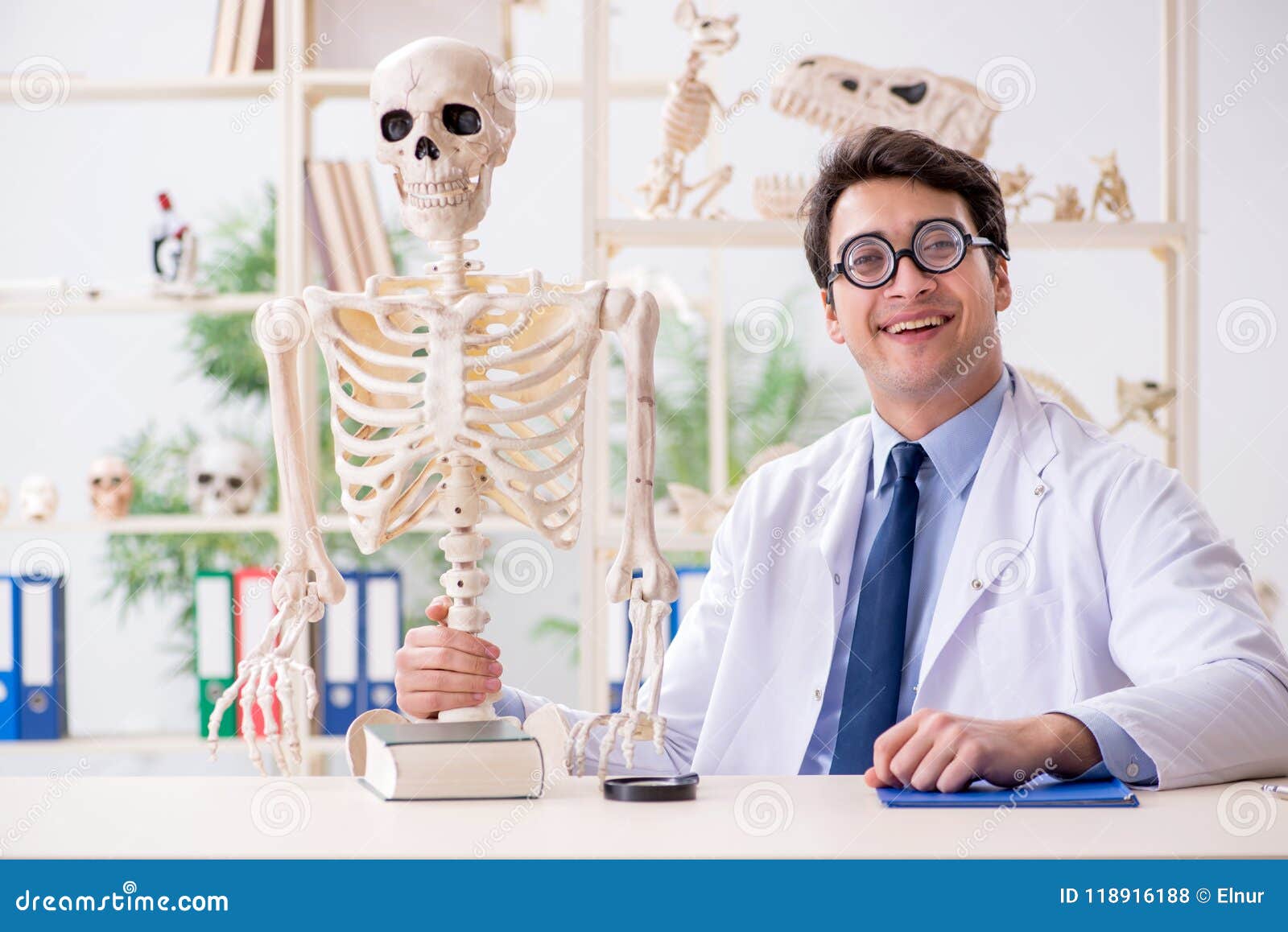 The Crazy Professor Studying Human Skeleton Stock Photo - Image of ...