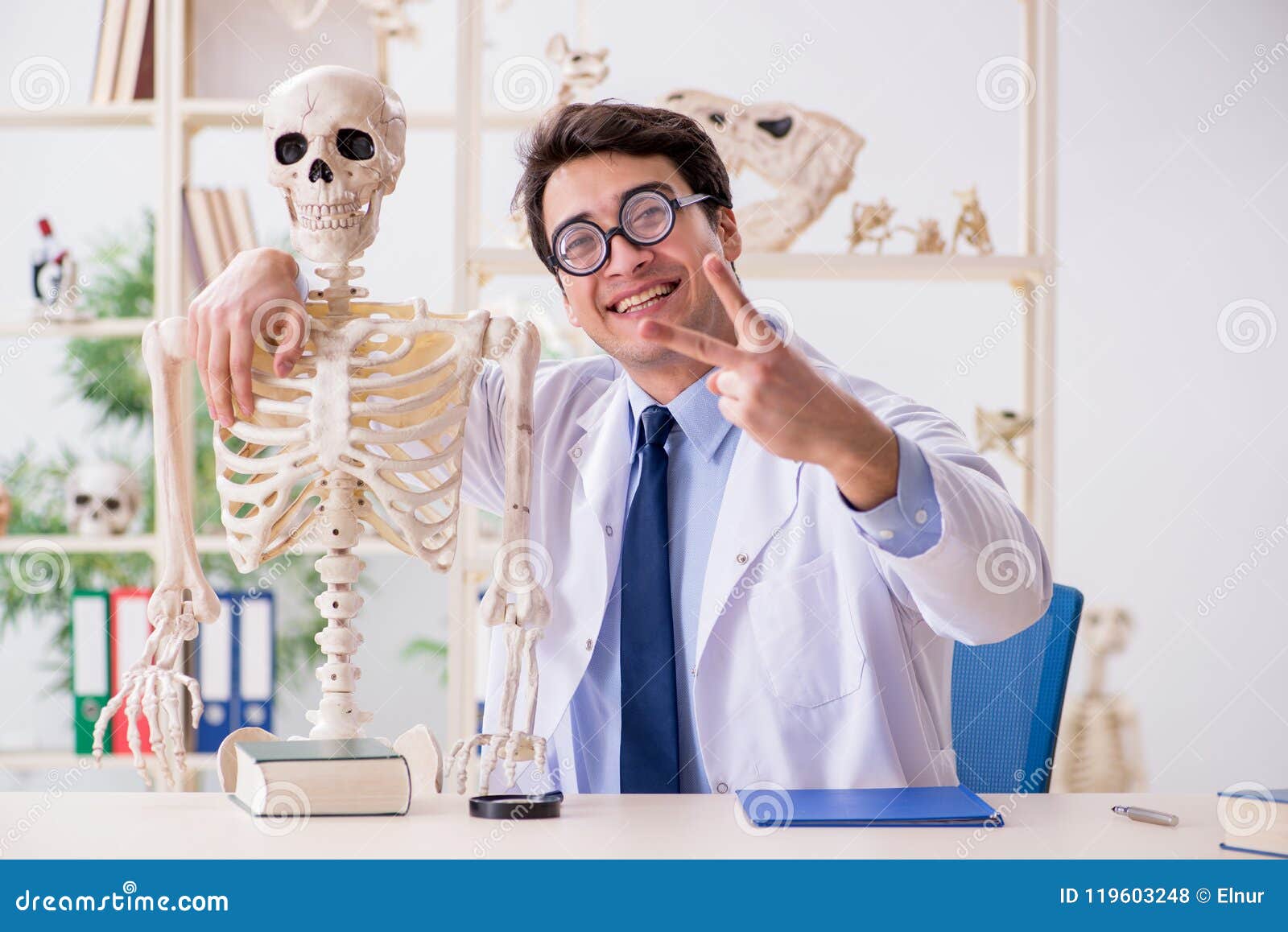 The Crazy Professor Studying Human Skeleton Stock Photo - Image of ...