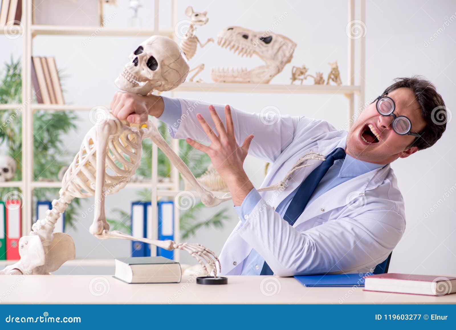 The Crazy Professor Studying Human Skeleton Stock Image - Image of ...