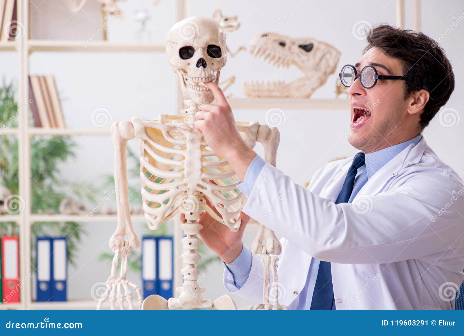 The Crazy Professor Studying Human Skeleton Stock Image - Image of ...