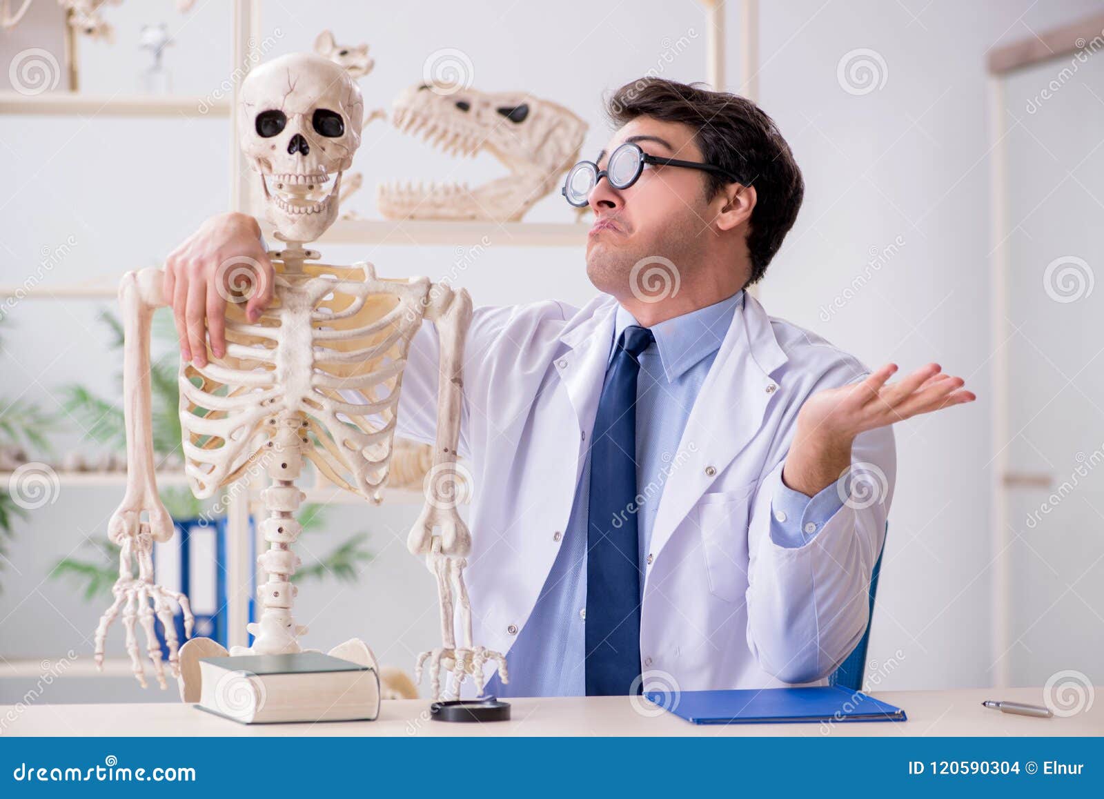 The Crazy Professor Studying Human Skeleton Stock Photo - Image of exam ...