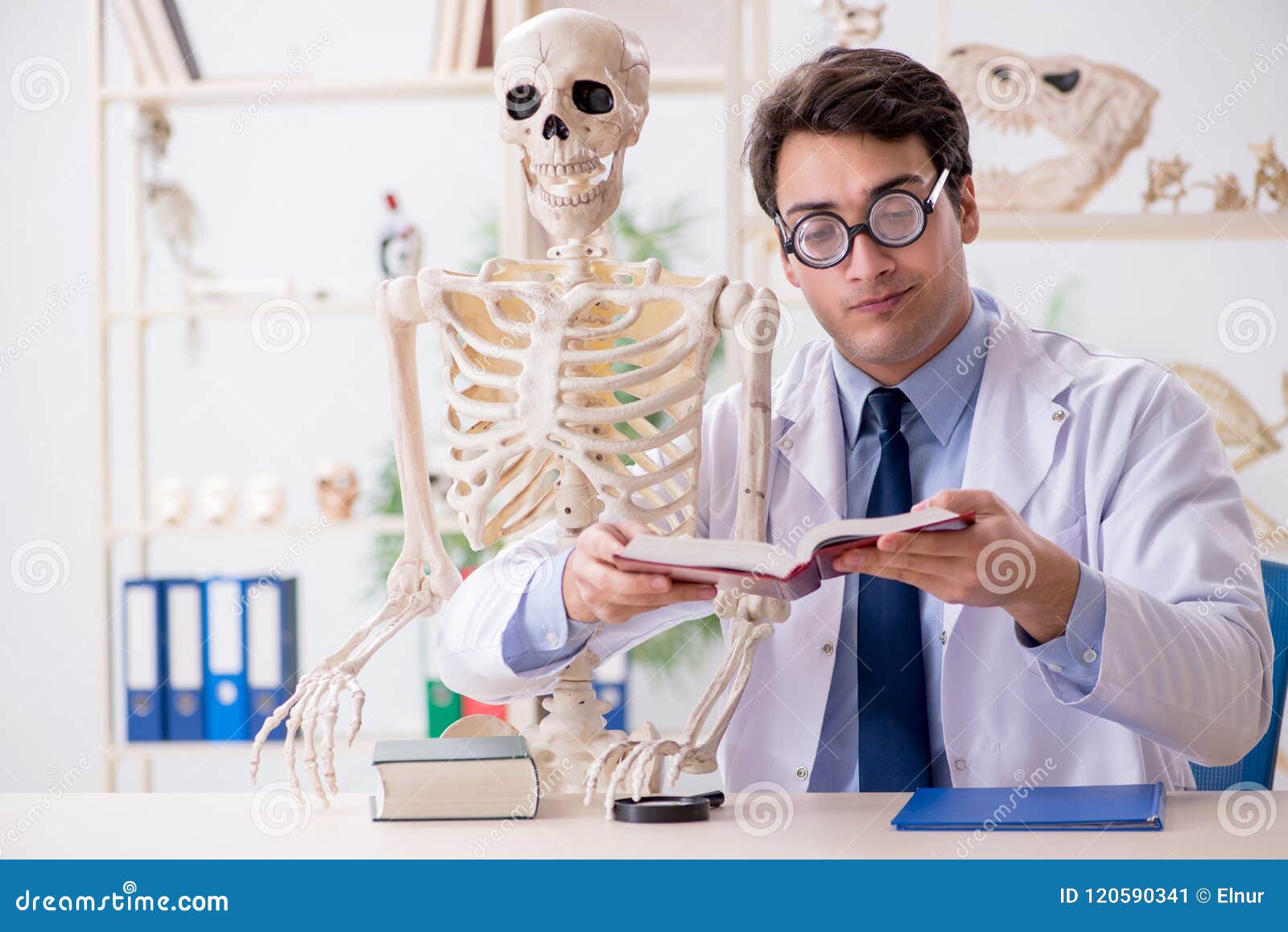The Crazy Professor Studying Human Skeleton Stock Image - Image of ...
