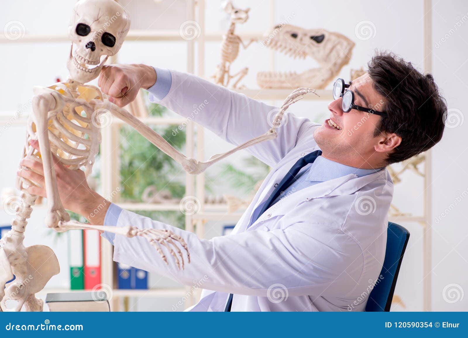 The Crazy Professor Studying Human Skeleton Stock Photo - Image of ...