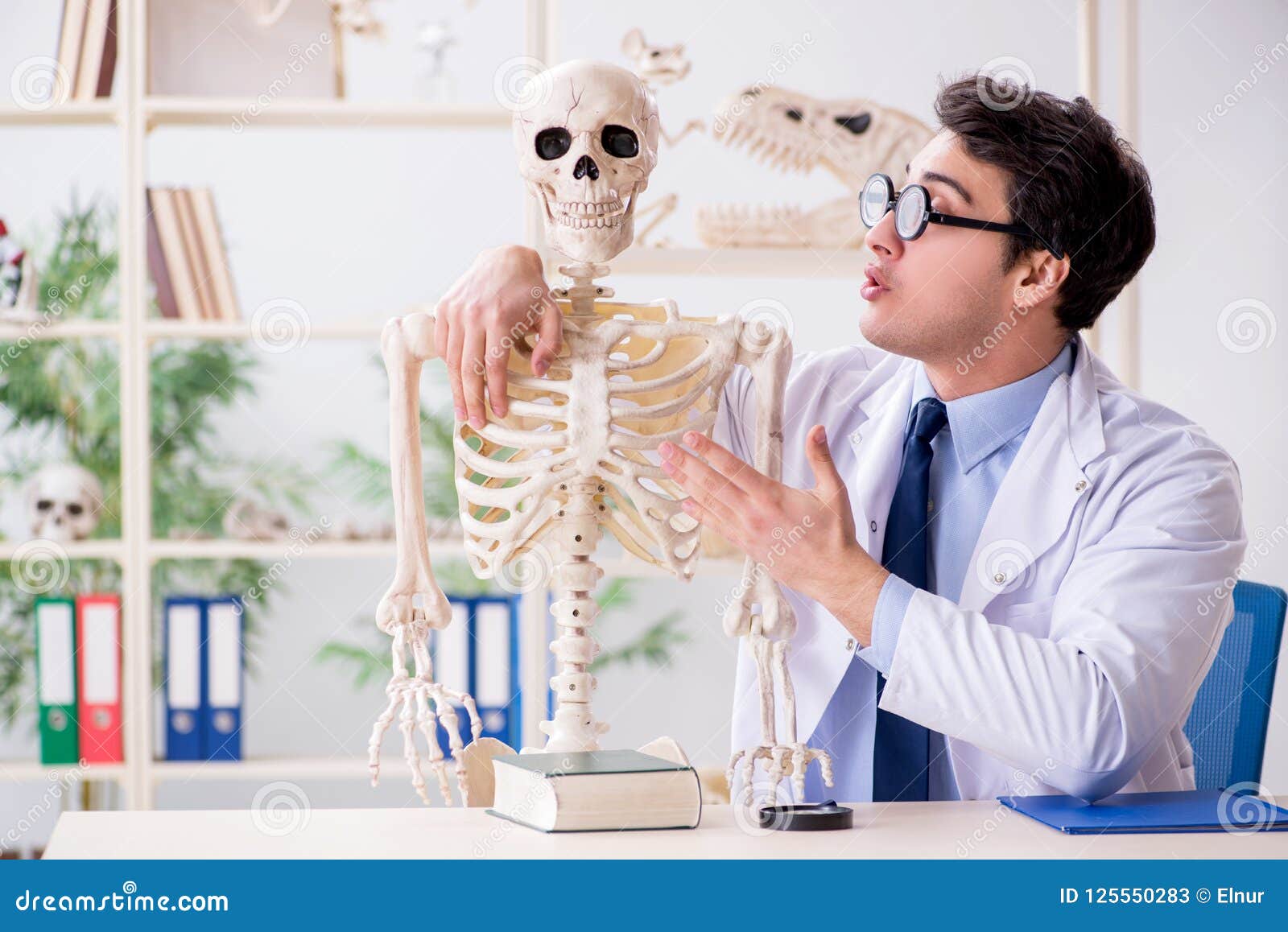 The Crazy Professor Studying Human Skeleton Stock Image - Image of ...
