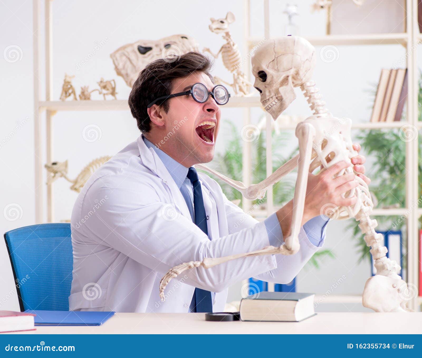 Crazy Professor Studying Human Skeleton Stock Photo - Image of body ...