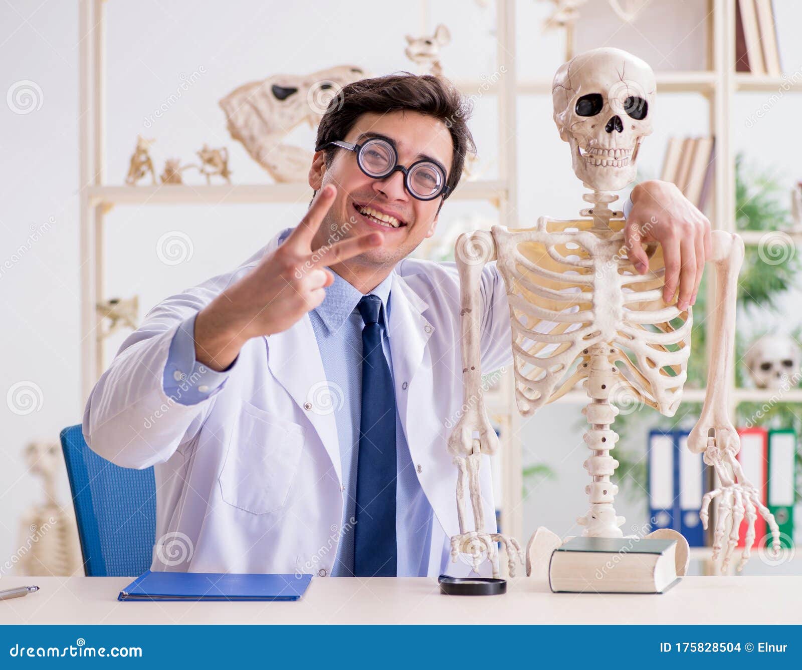 Crazy Professor Studying Human Skeleton Stock Photo - Image of ...