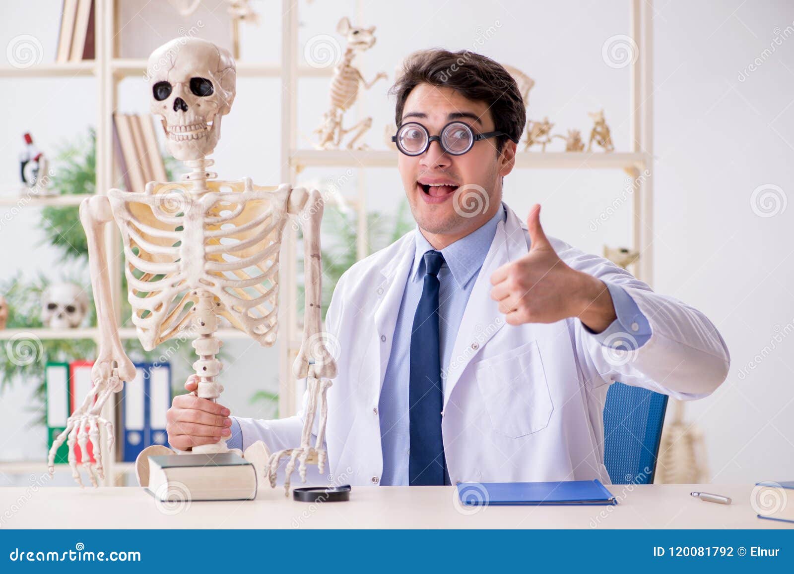 The Crazy Professor Studying Human Skeleton Stock Photo - Image of ...