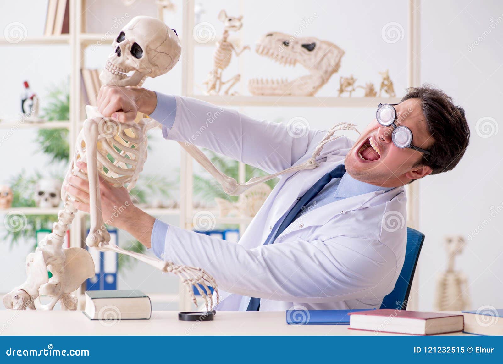 The Crazy Professor Studying Human Skeleton Stock Image - Image of ...