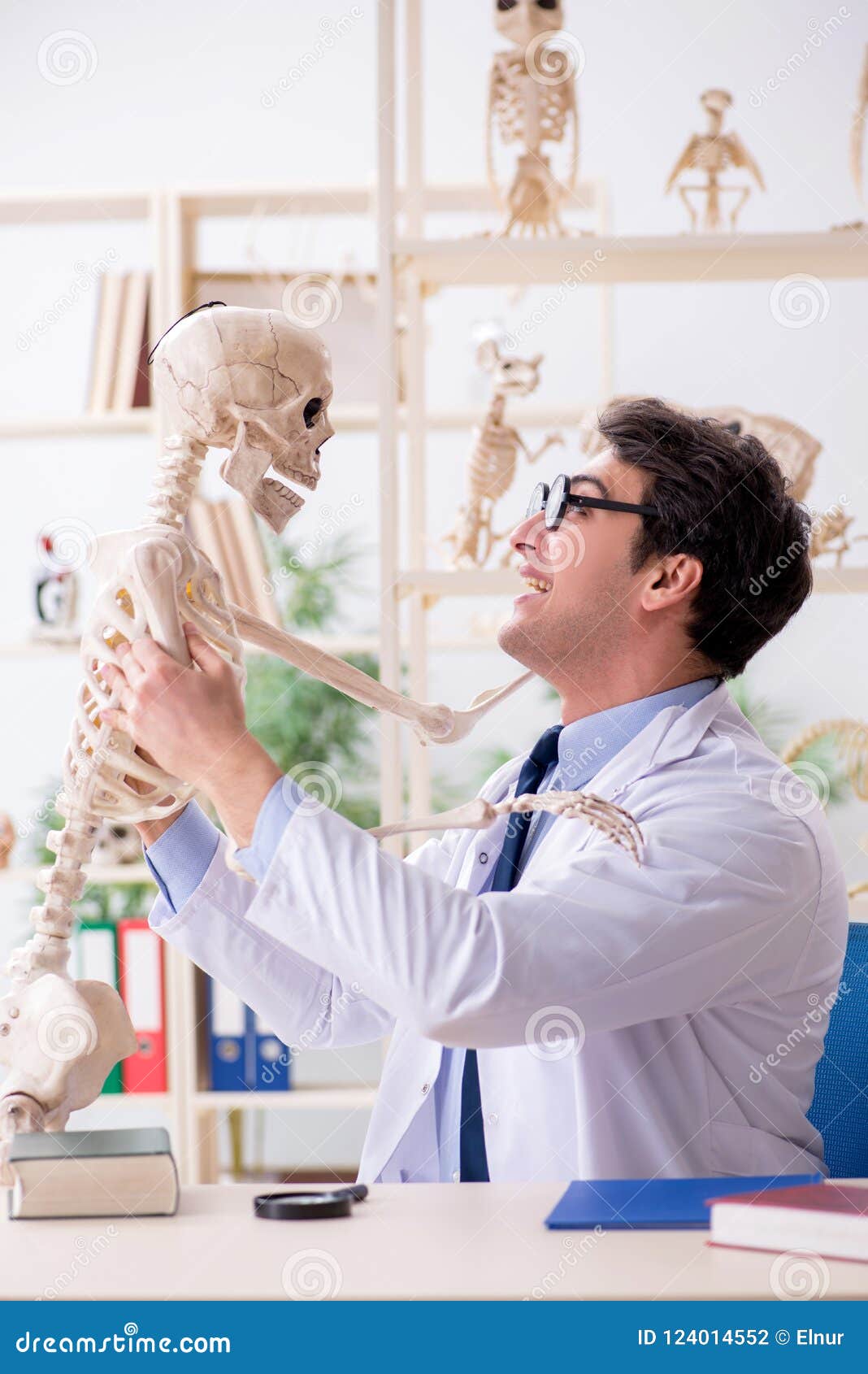 The Crazy Professor Studying Human Skeleton Stock Photo - Image of ...