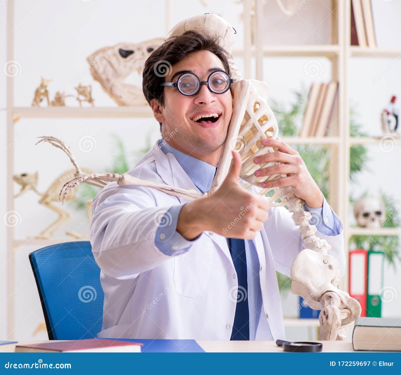 Crazy Professor Studying Human Skeleton Stock Image - Image of doctor ...