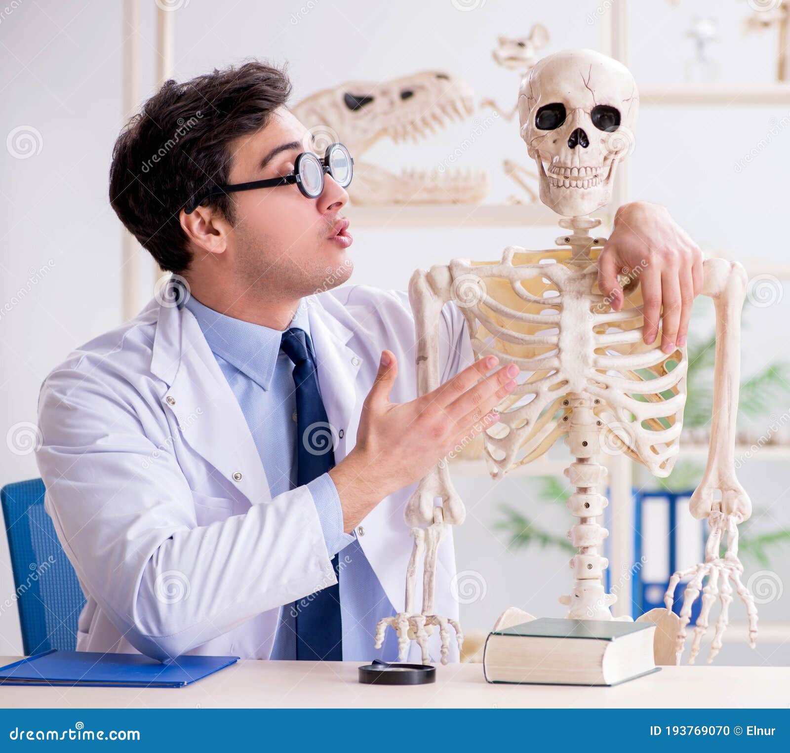 Crazy Professor Studying Human Skeleton Stock Photo - Image of ...