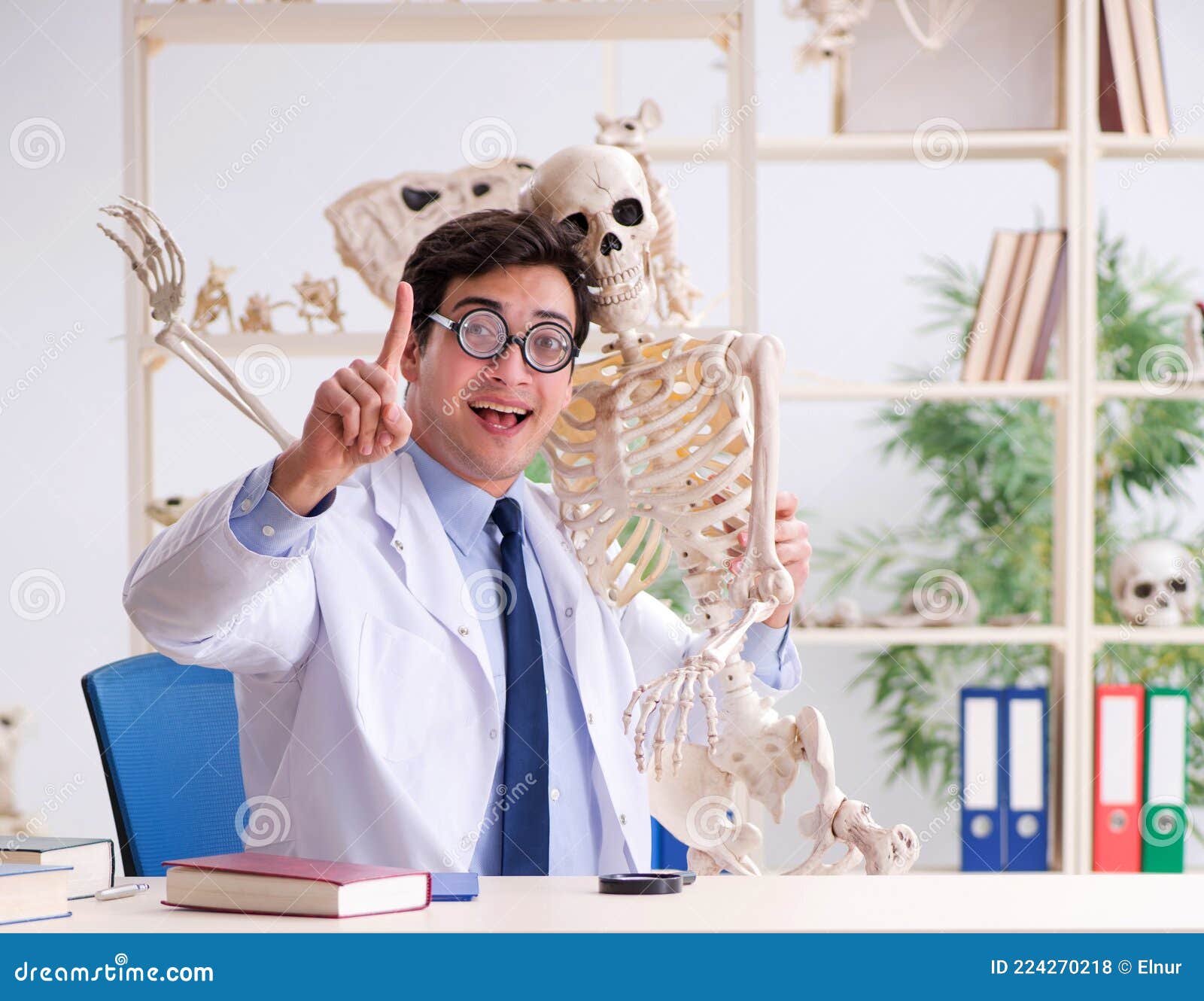 Crazy Professor Studying Human Skeleton Stock Photo - Image of body ...