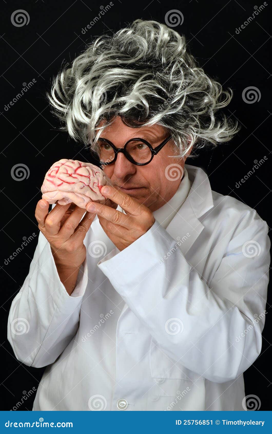 Crazy Scientist stock image. Image of brain, coat, model - 25756851